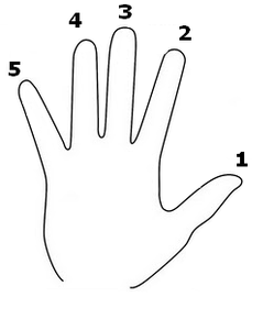 Sign Language Translator : 5 Steps - Instructables