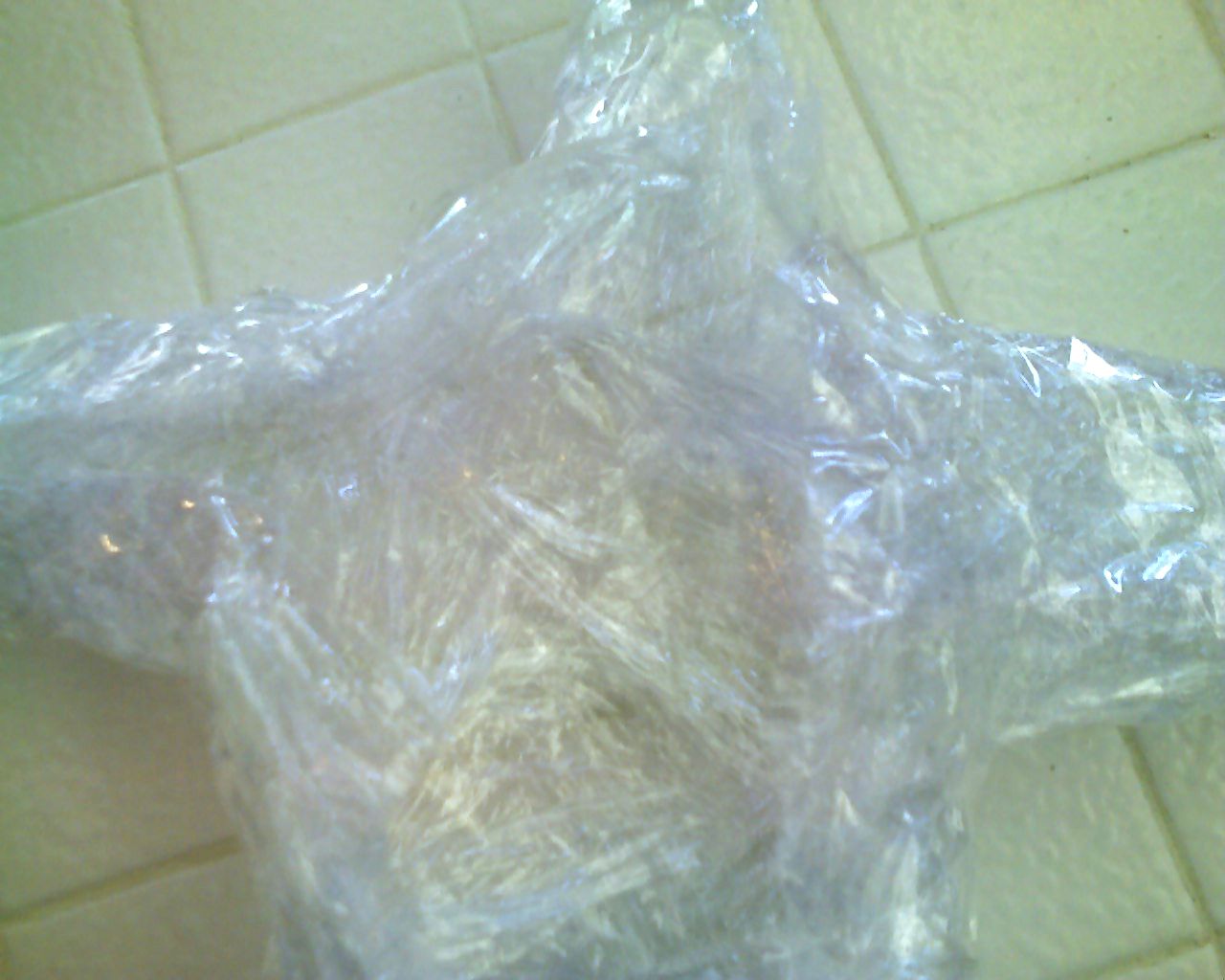 Plastic Wrap Sculptures! : 6 Steps (with Pictures) - Instructables