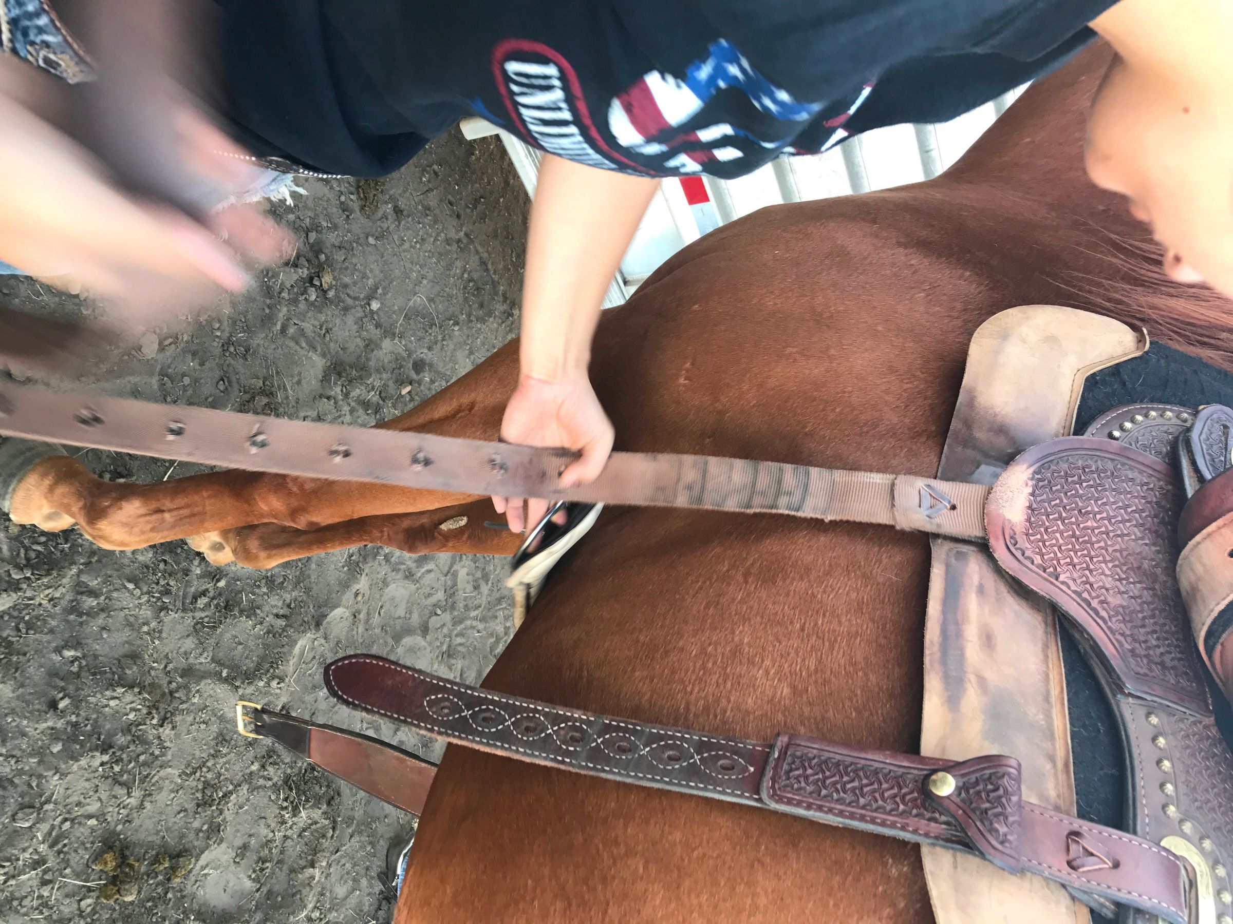 How to Saddle a Horse : 9 Steps (with Pictures) - Instructables