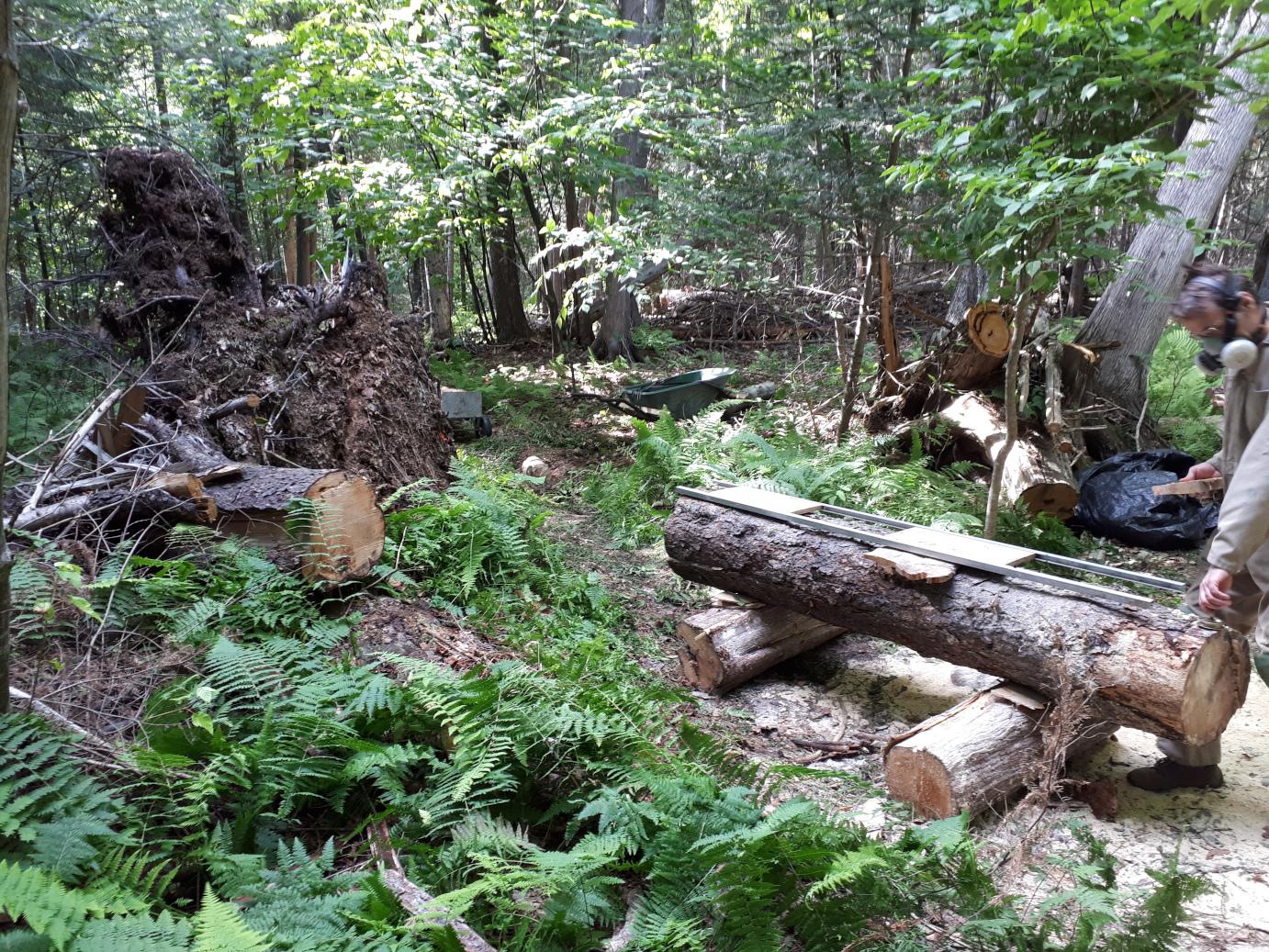 The Timber Lumber Mover : 4 Steps (with Pictures) - Instructables