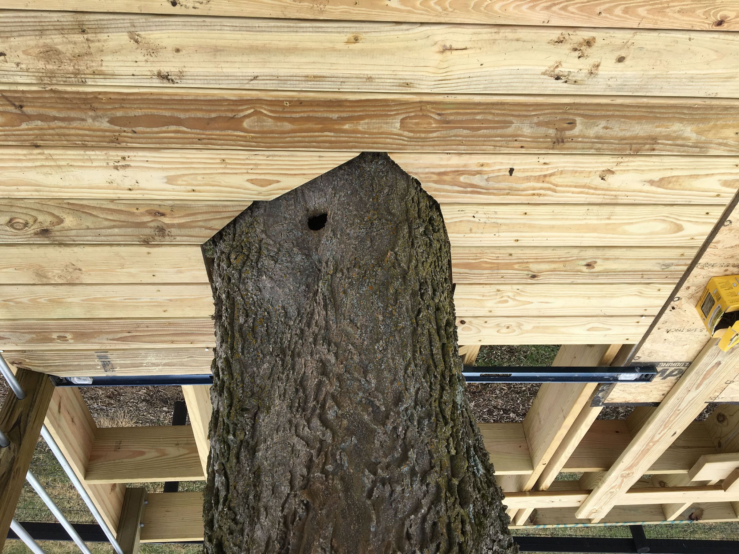 Epic Treehouse : 13 Steps (with Pictures) - Instructables