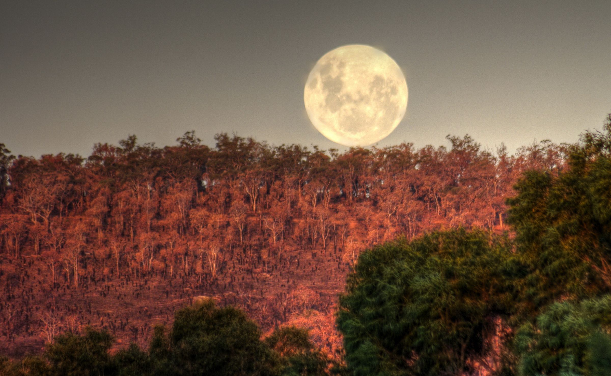 Moon Photography Guide for Beginners (using an Entry-level Camera and ...