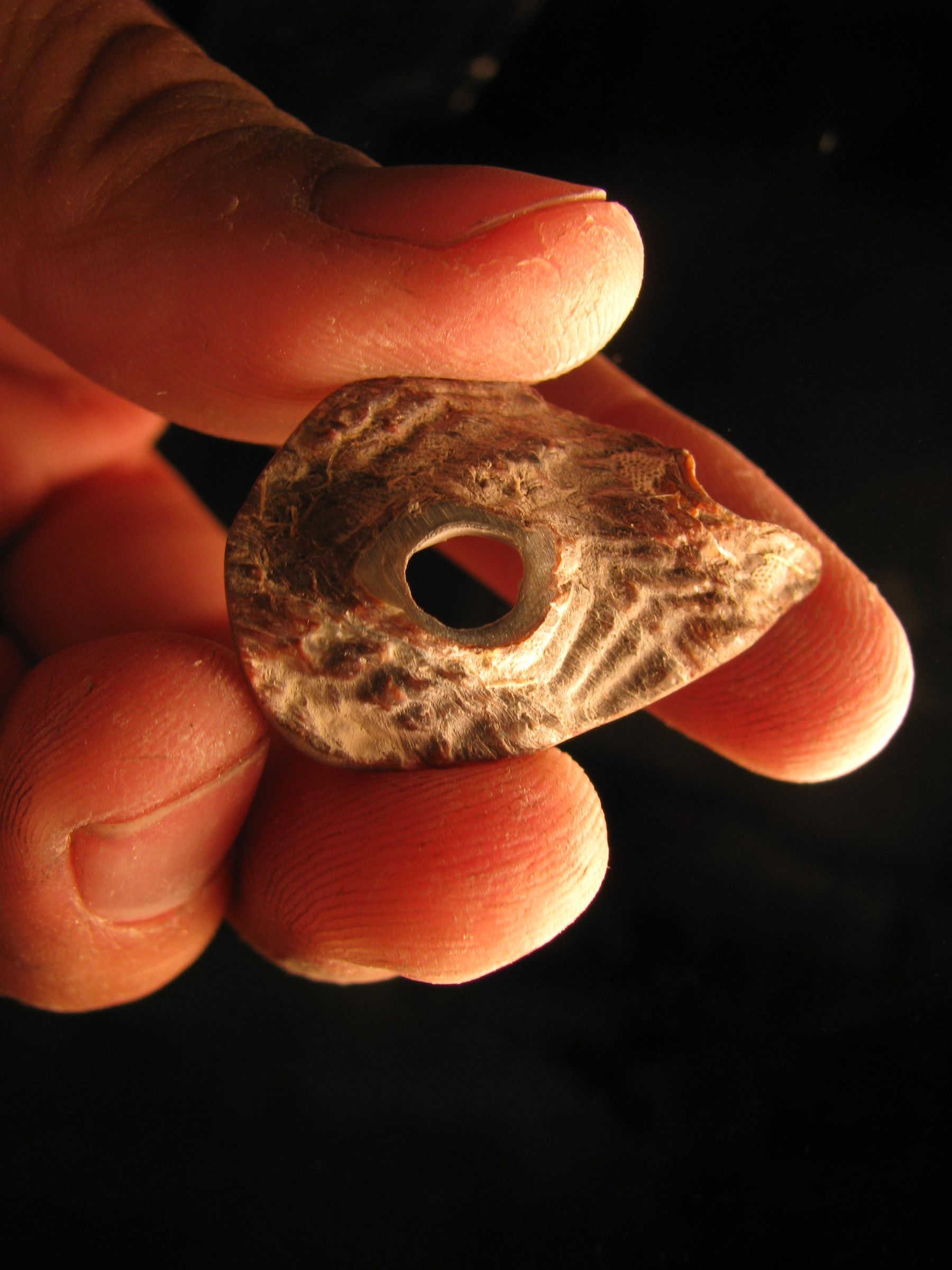 How to Polish Sea Shell : 4 Steps - Instructables