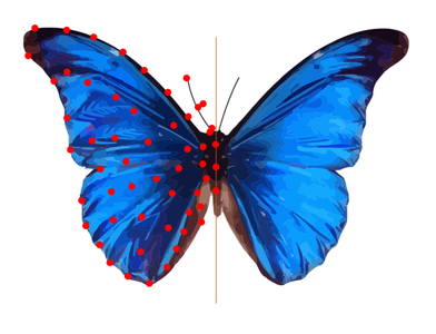 Image to Low Poly Vector Art : 6 Steps (with Pictures) - Instructables
