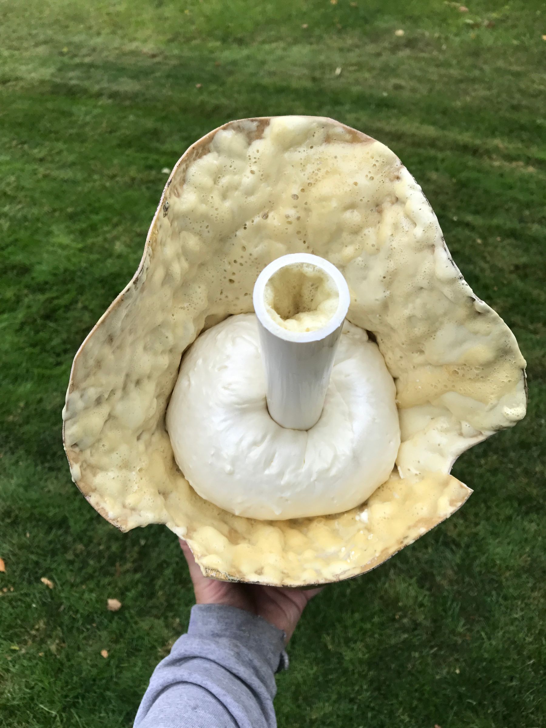 How to Turn Your Favorite Mask Into a Halloween Prop : 6 Steps (with ...