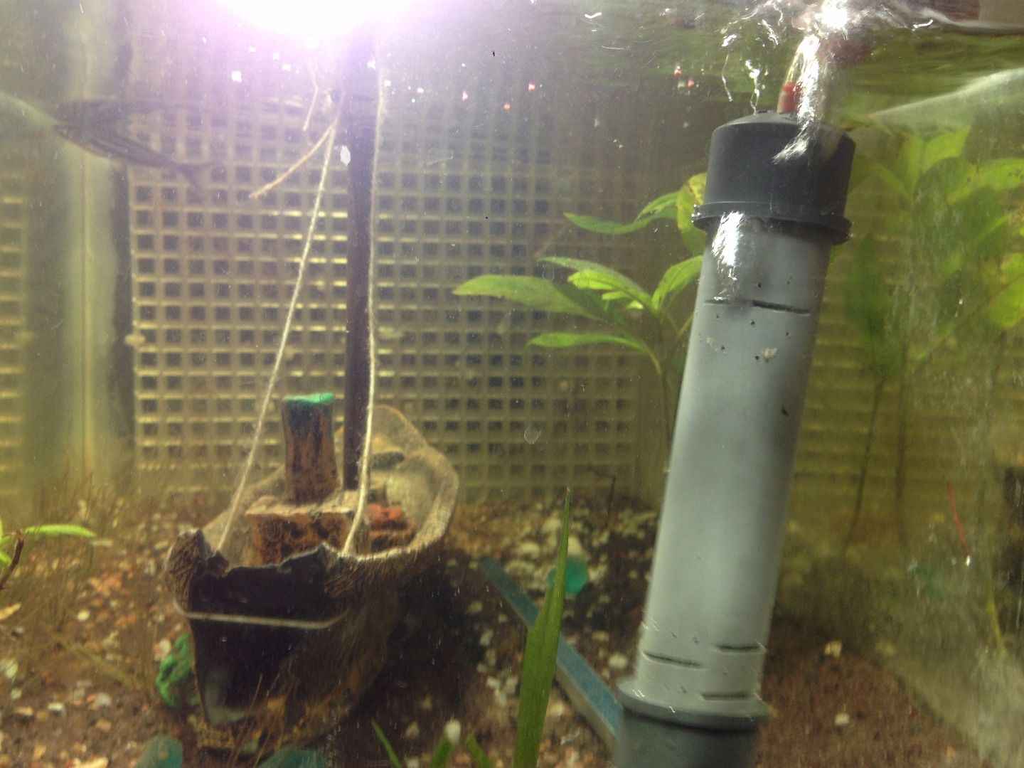 DIY Simple PVC Sponge Filter for Aquariums! : 9 Steps - Instructables