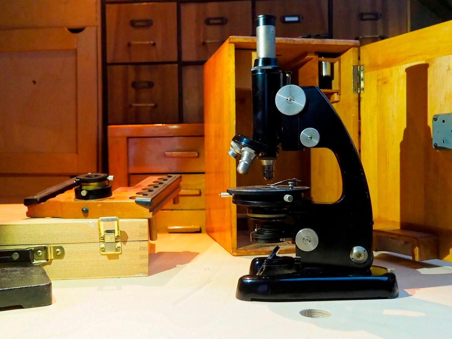 Revive an Old Microscope: Proper Cleaning, New Light Source (with ...