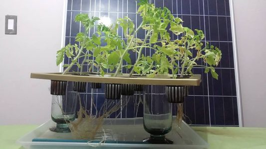 Basics of Hydroponics System - Floating Root Technique : 8 Steps (with ...