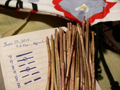 Consult the I Ching With Yarrow Stalks : 12 Steps - Instructables