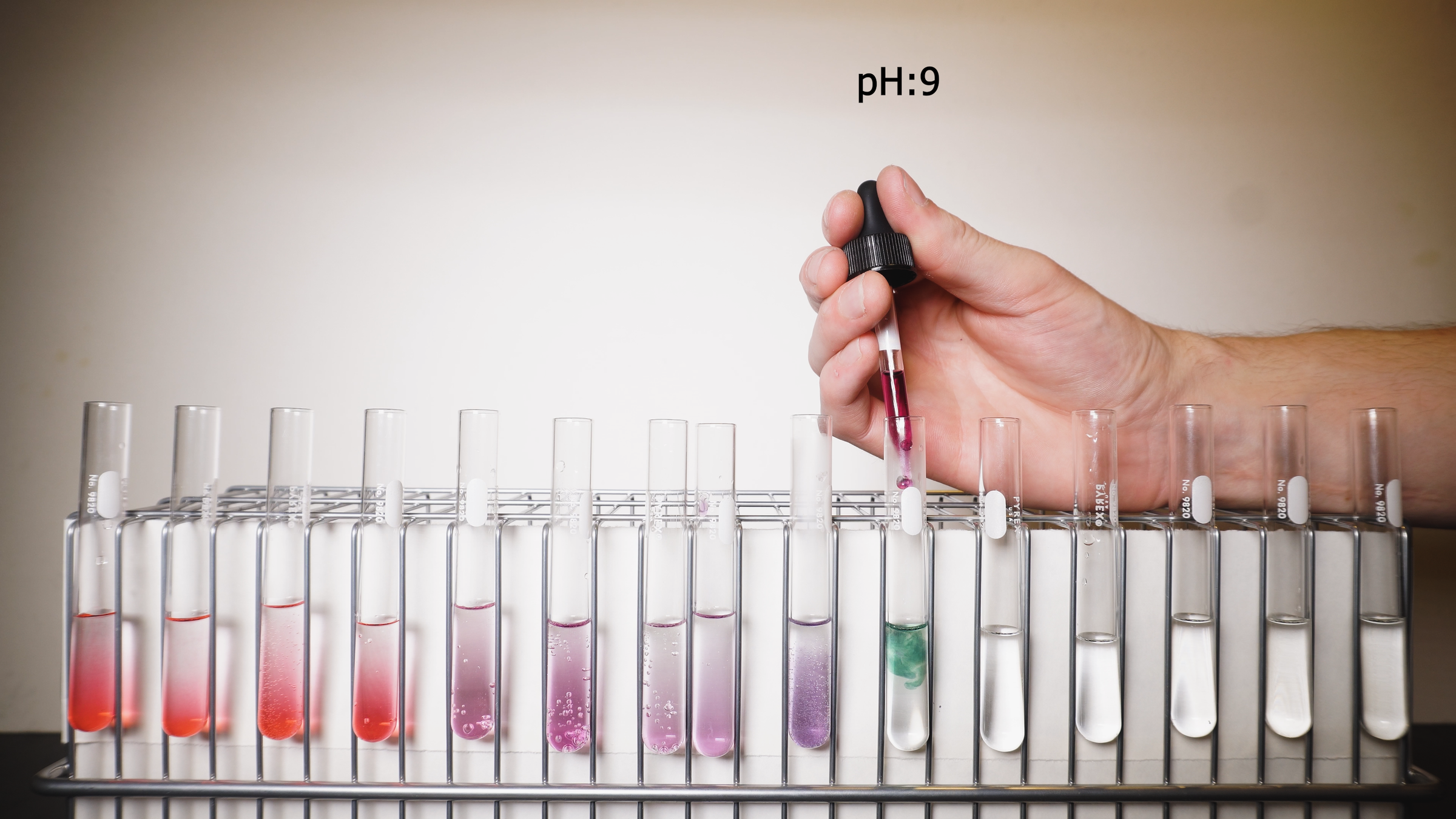 Extracting Anthocyanin: a Natural PH Indicator : 5 Steps (with Pictures ...