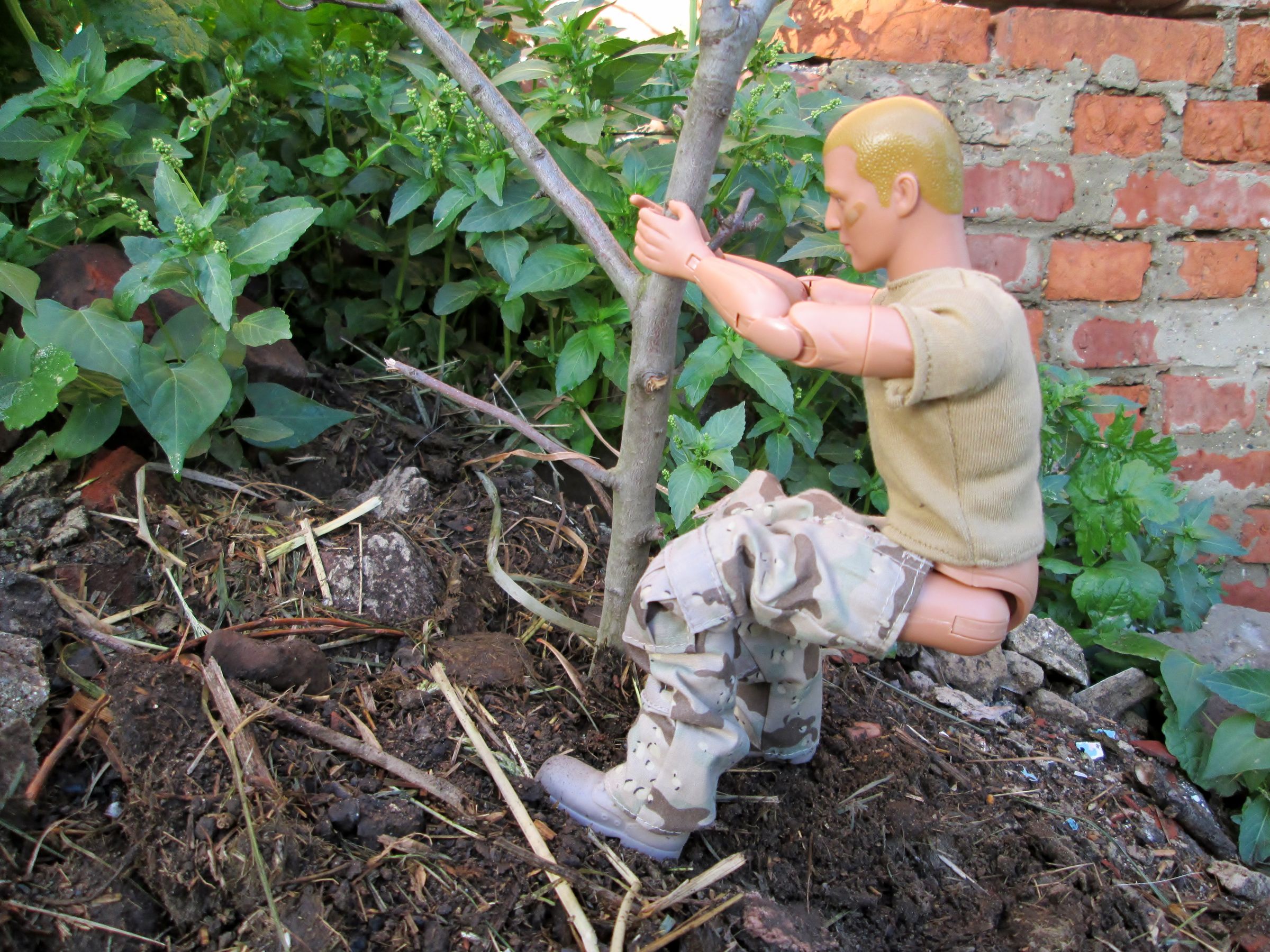 Pooping in Paradise (or in Nature) - How to Do It Easily : 4 Steps ...