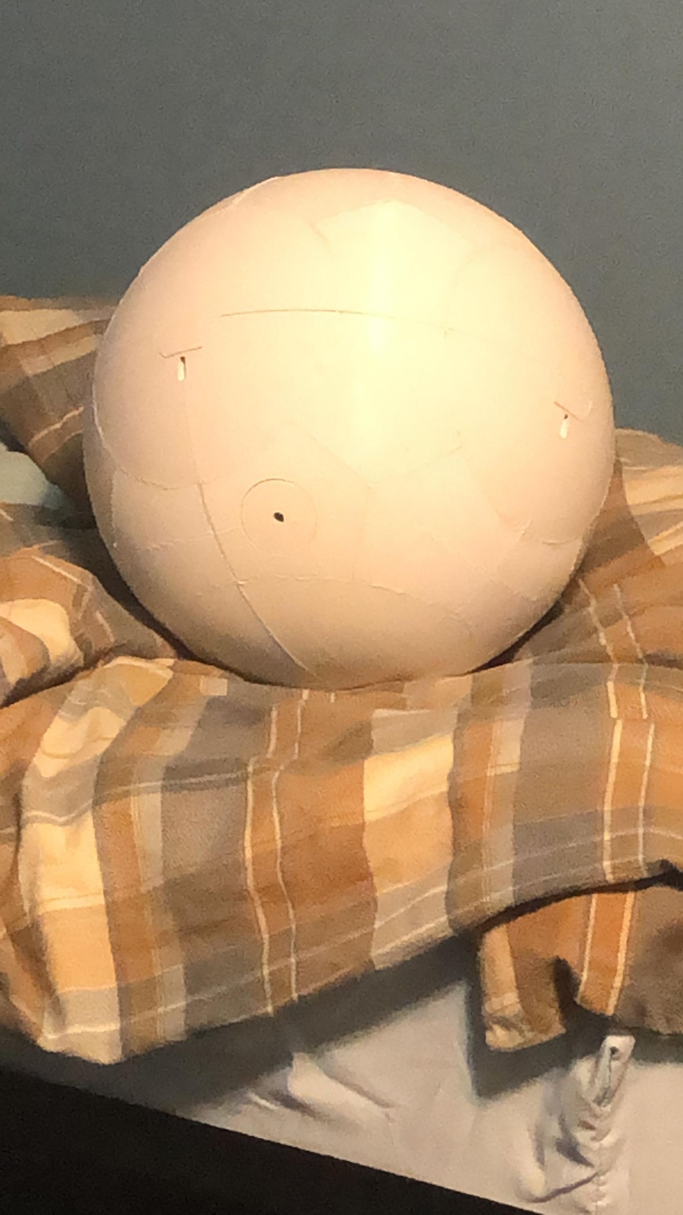 3D Printed Robotic BB8 : 36 Steps (with Pictures) - Instructables
