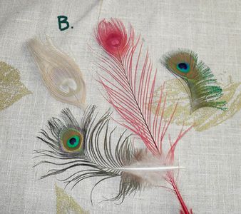 DIY Feather Fascinator : 13 Steps (with Pictures) - Instructables