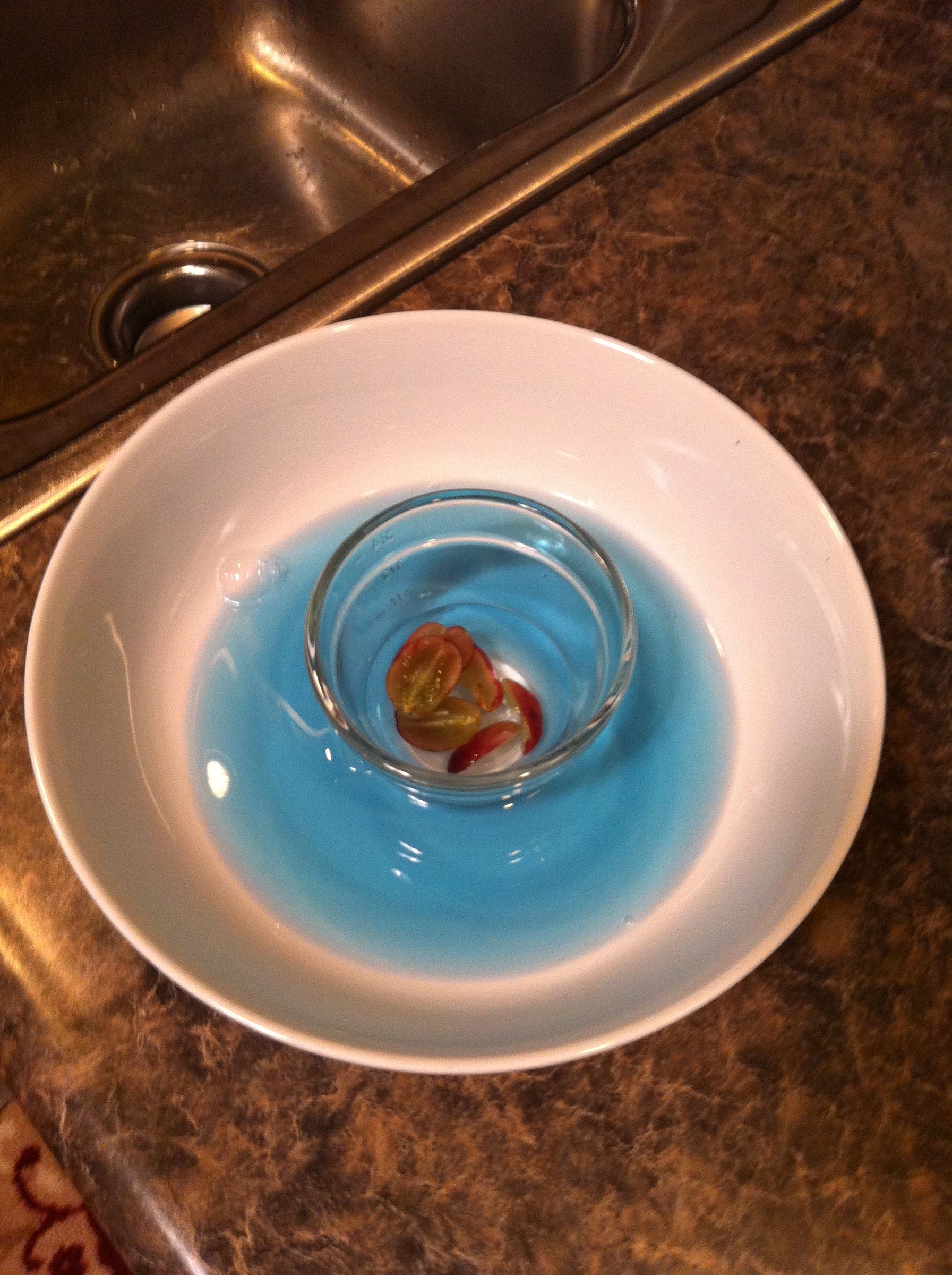 How to Create a Fool-Proof Gnat Trap : 9 Steps - Instructables