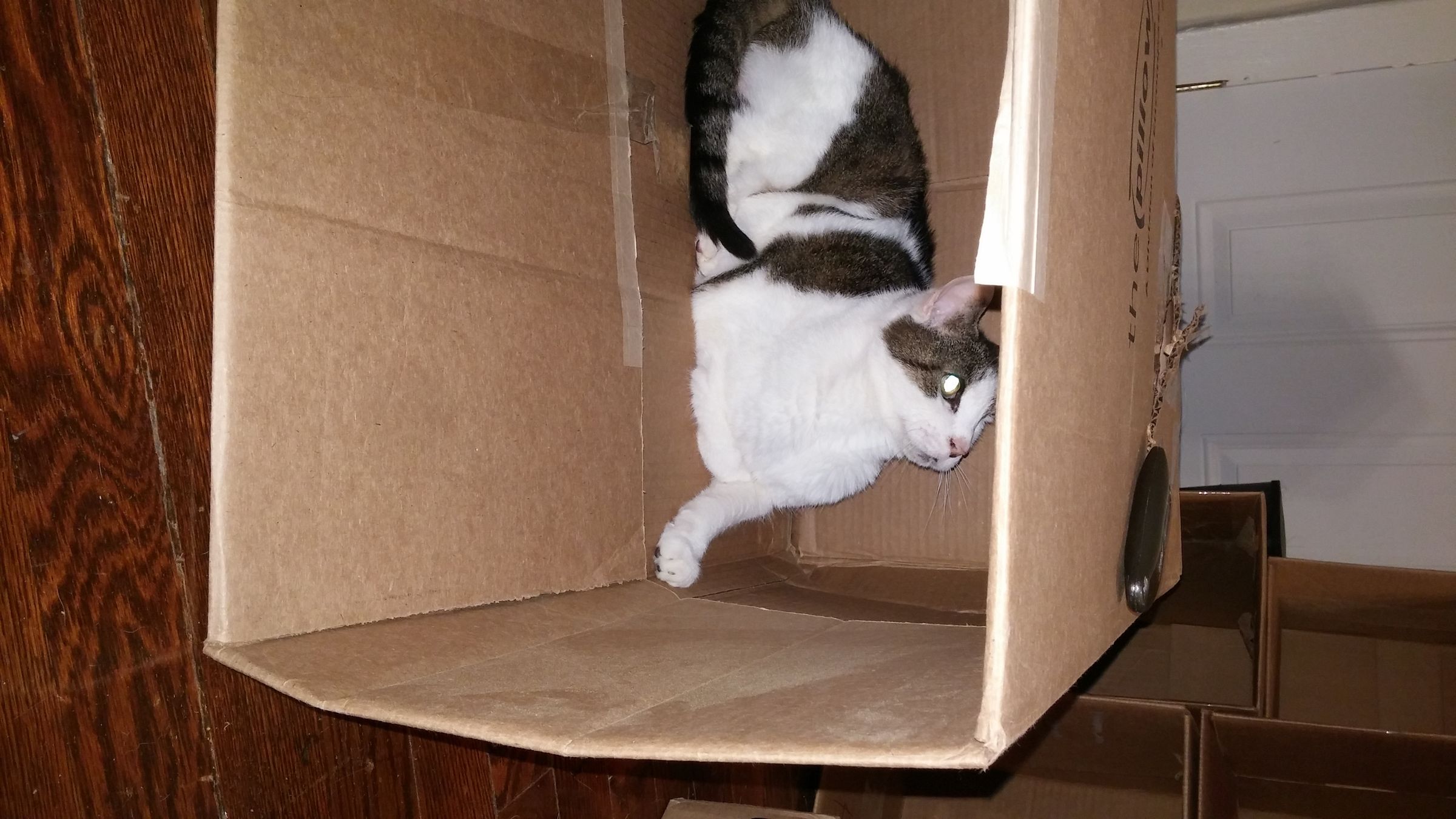 Cardboard Box Shoe Rack : 5 Steps (with Pictures) - Instructables