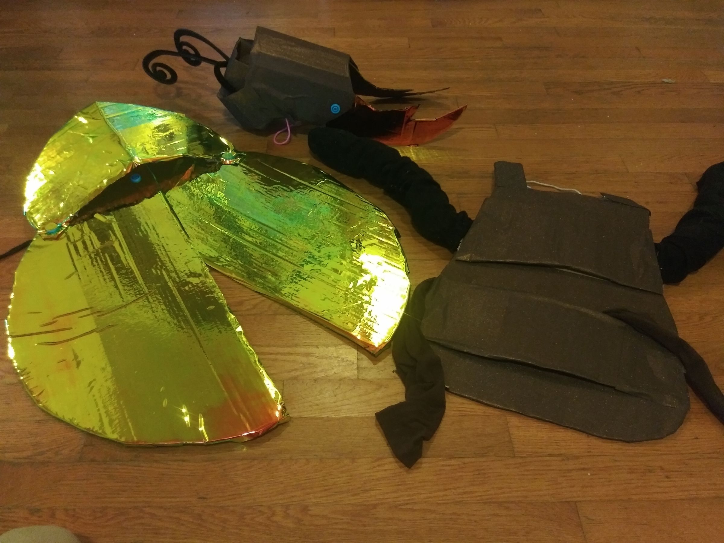 Cardboard Beetle Costume : 4 Steps (with Pictures) - Instructables
