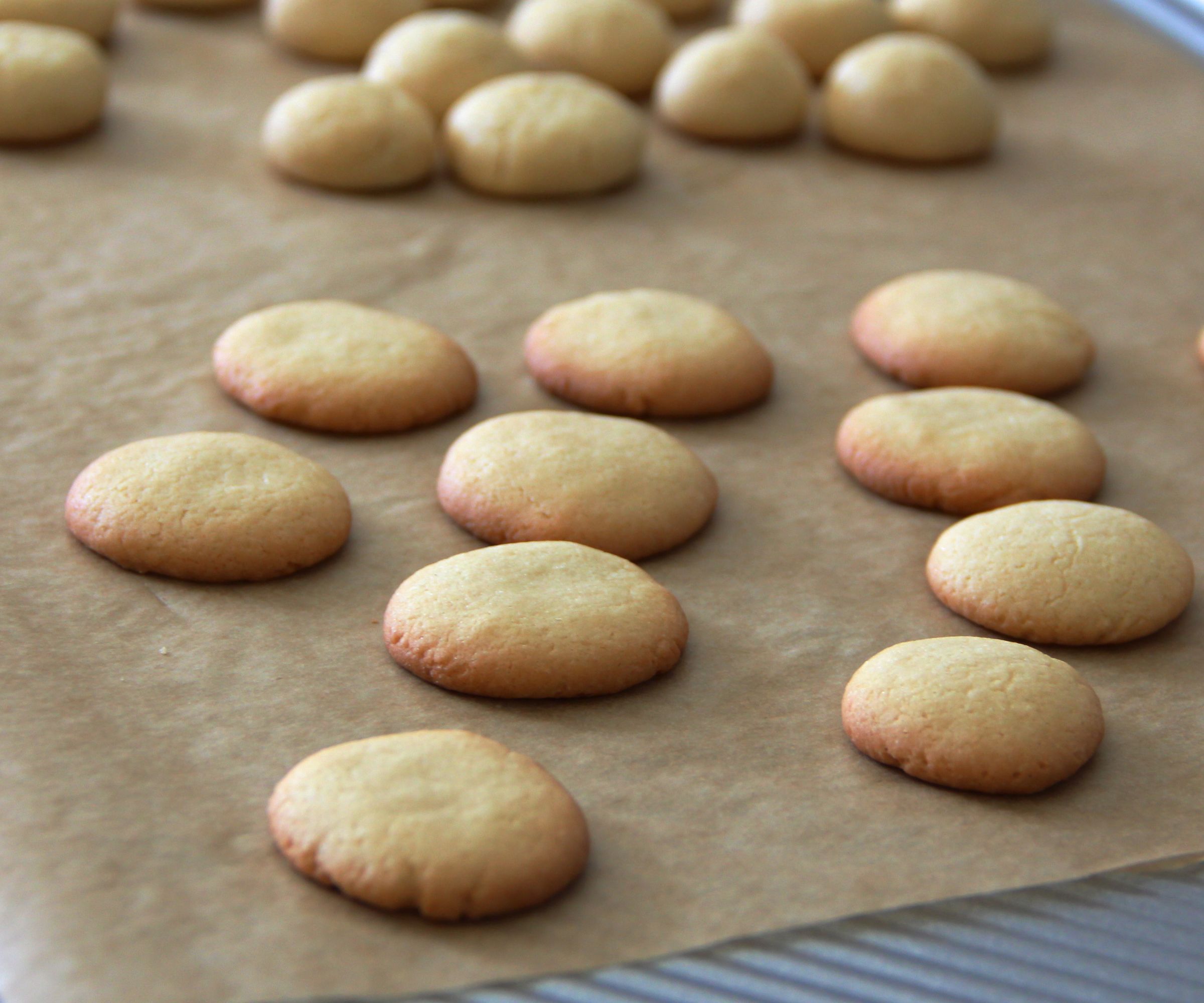 Vanilla Wafer Recipe : 4 Steps (with Pictures) - Instructables