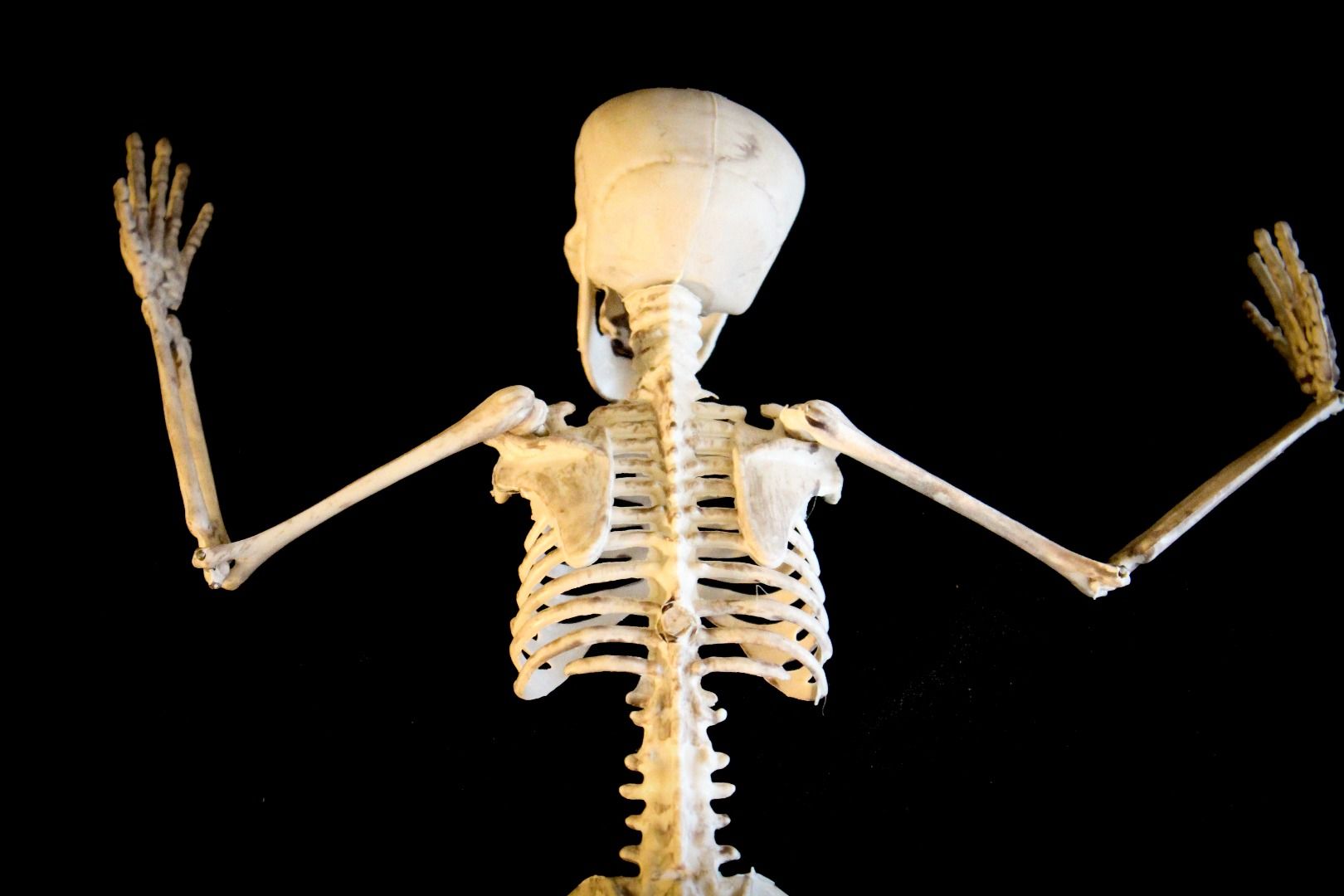 Mini Pillory (Stocks) : 20 Steps (with Pictures) - Instructables