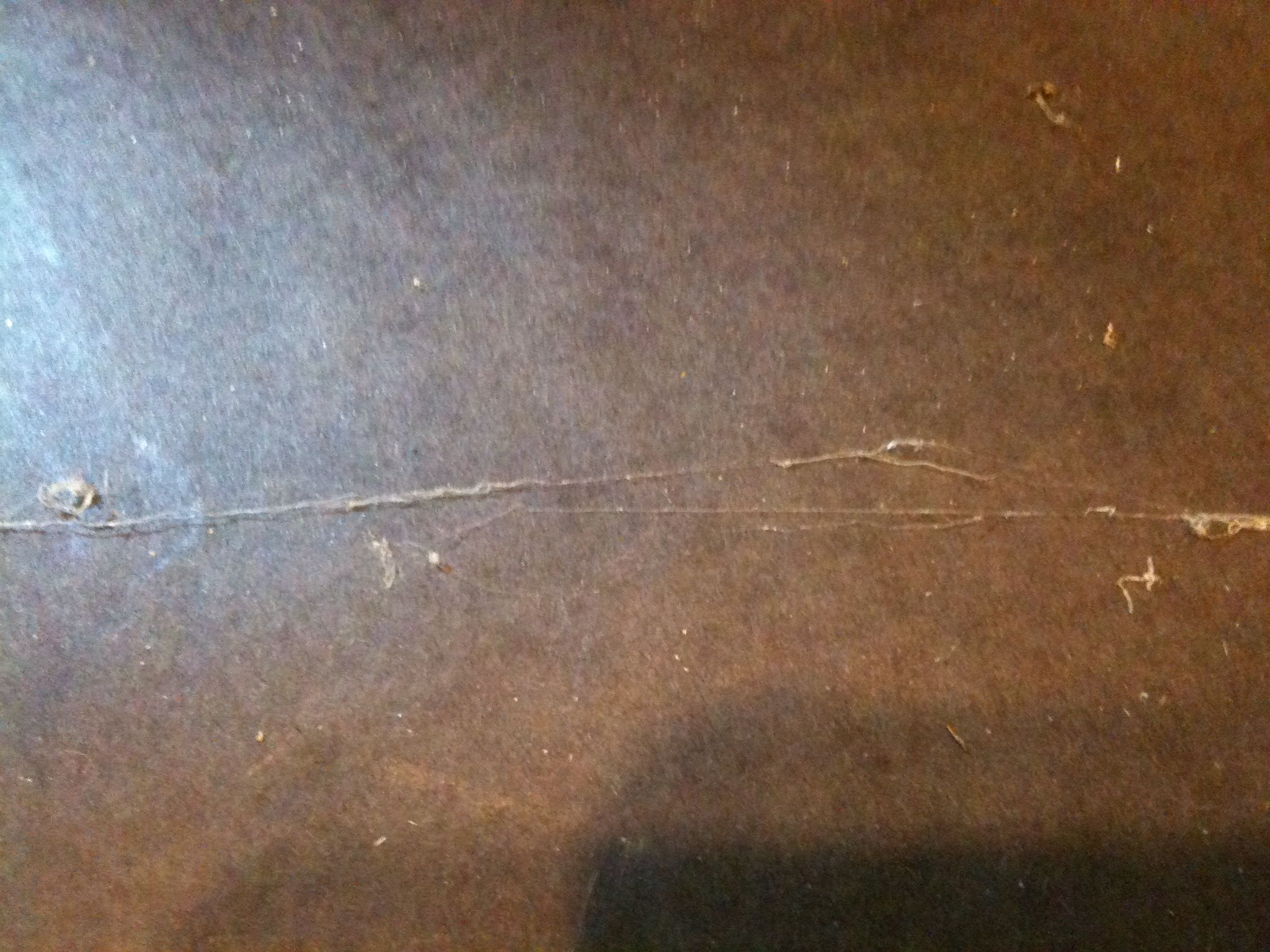 How to Make Spider Silk Thread : 8 Steps (with Pictures) - Instructables