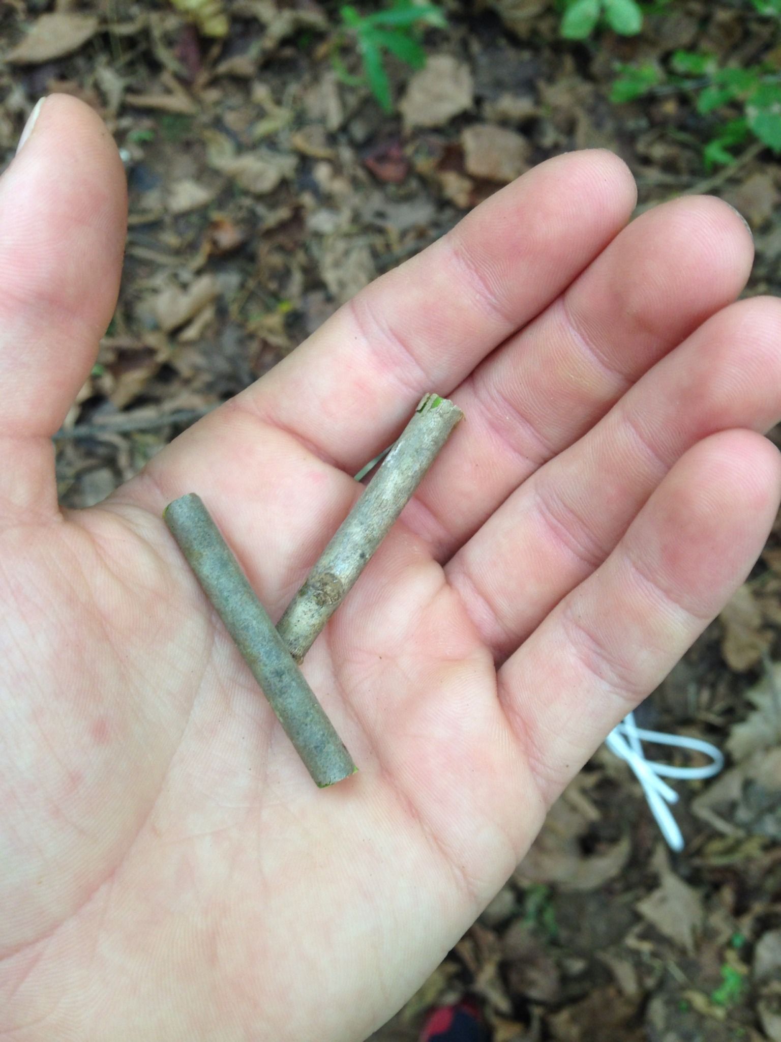 Two-Pronged Hunting Spear : 5 Steps (with Pictures) - Instructables