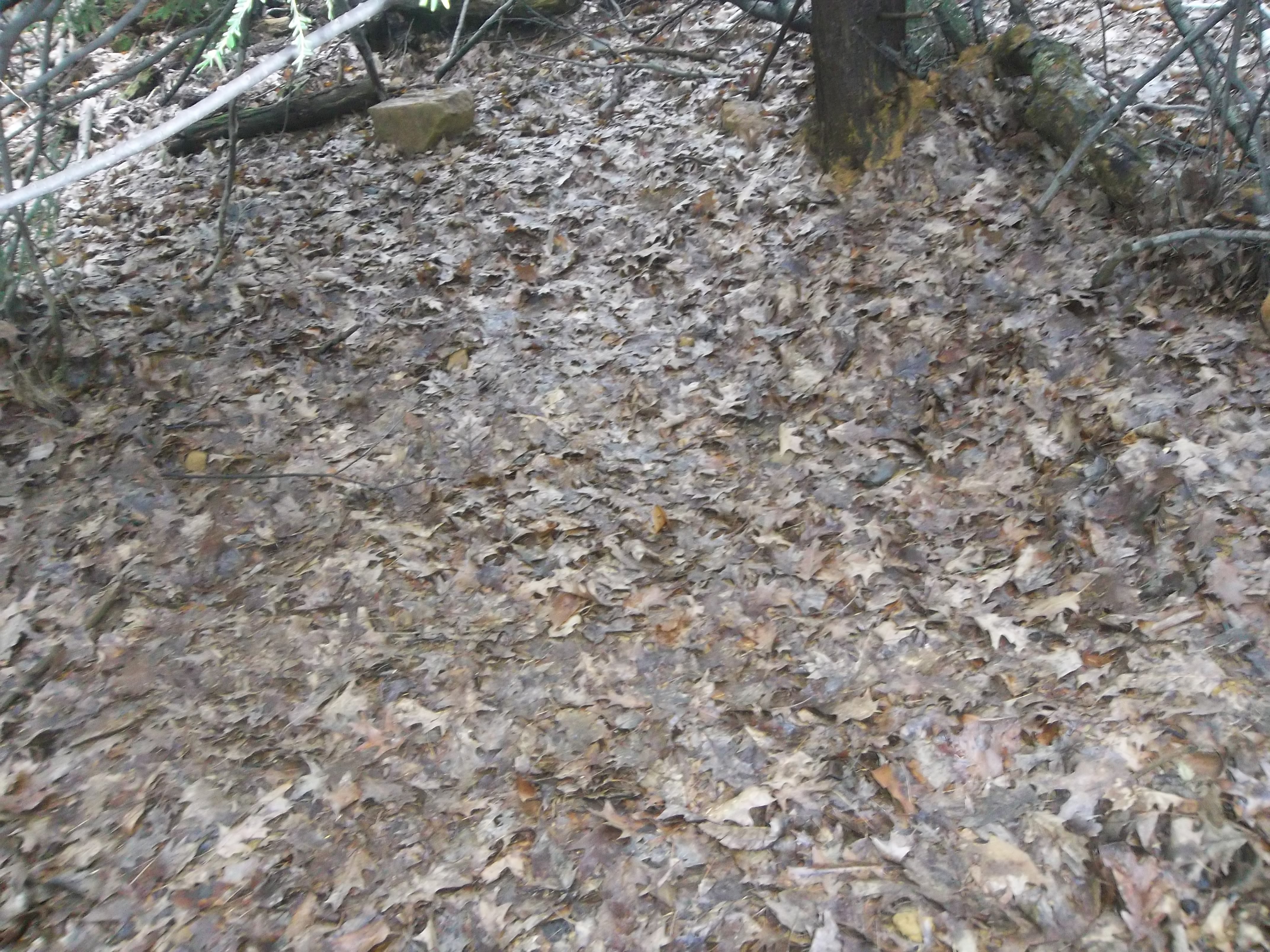 How to Make an Underground Fort : 8 Steps - Instructables