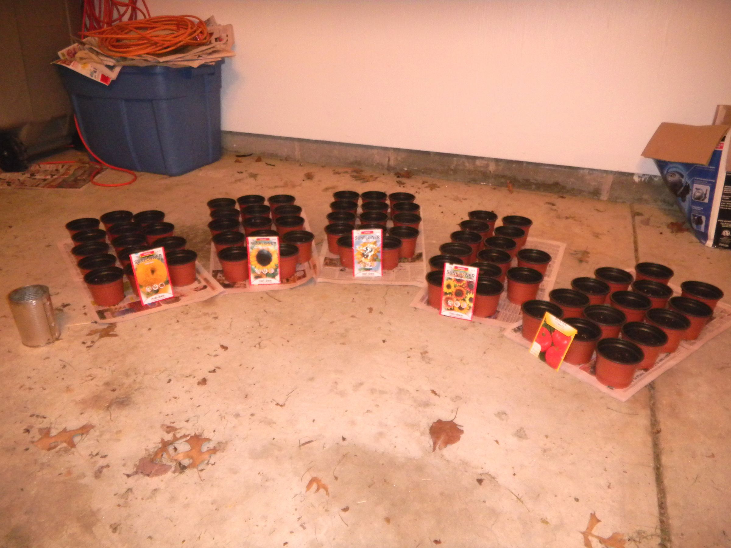 DIY Indoor Seed Starting System : 5 Steps (with Pictures) - Instructables