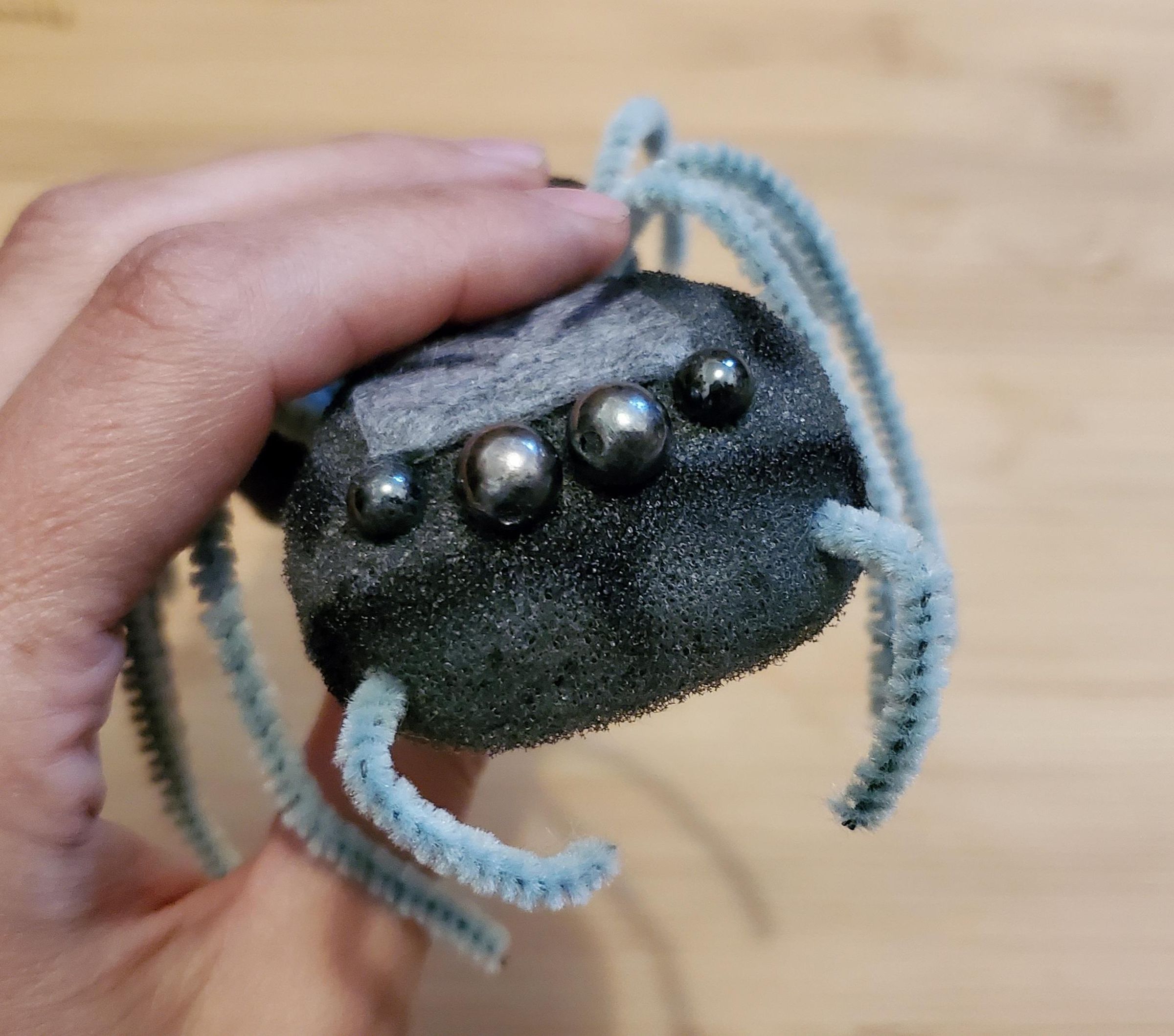 Jumping Spider : 9 Steps (with Pictures) - Instructables