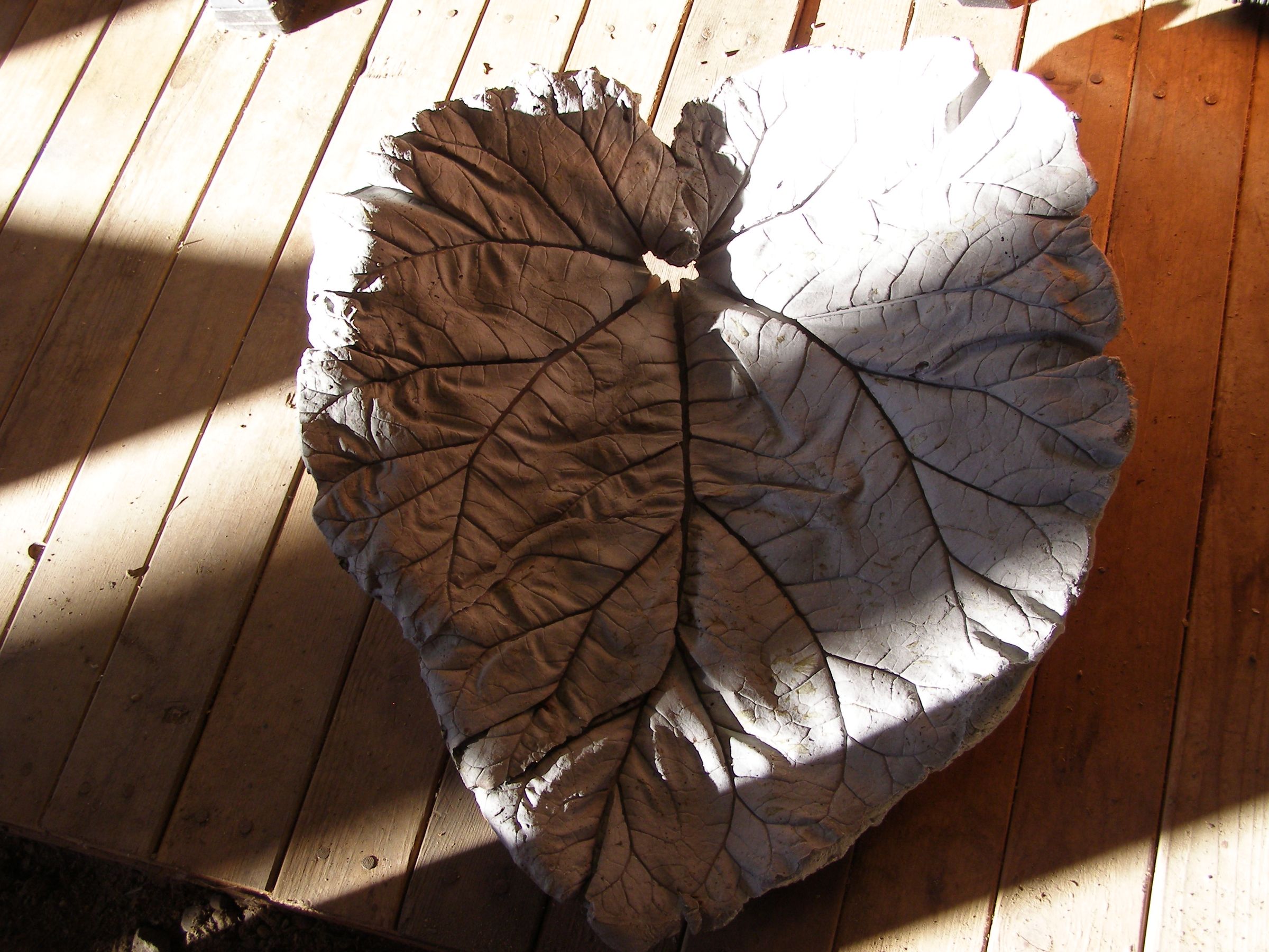 Concrete Leaves for Gardens or Fountains : 7 Steps (with Pictures ...
