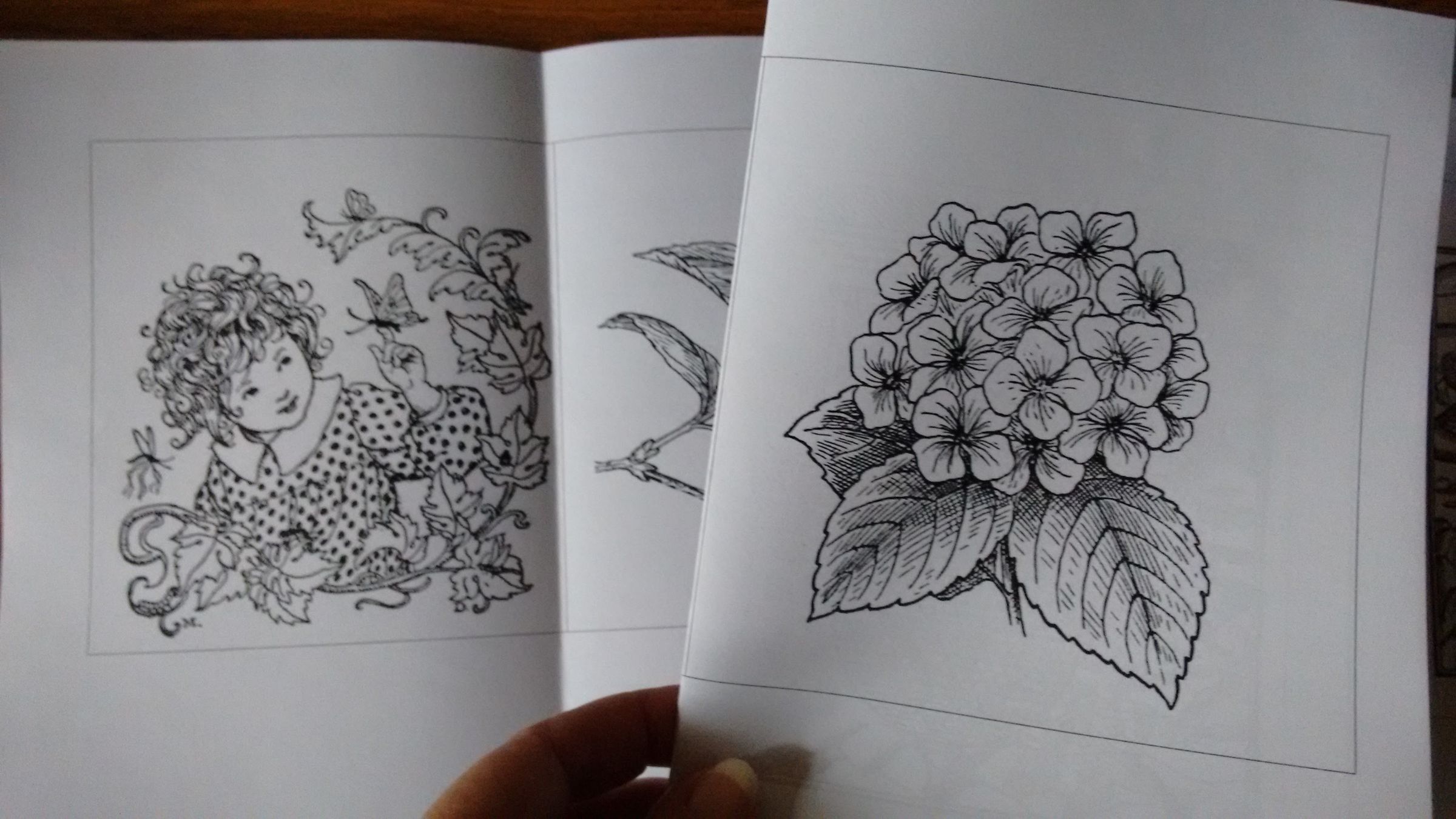 DIY Adult Coloring Book: How to Source & Create a Custom Coloring Book ...