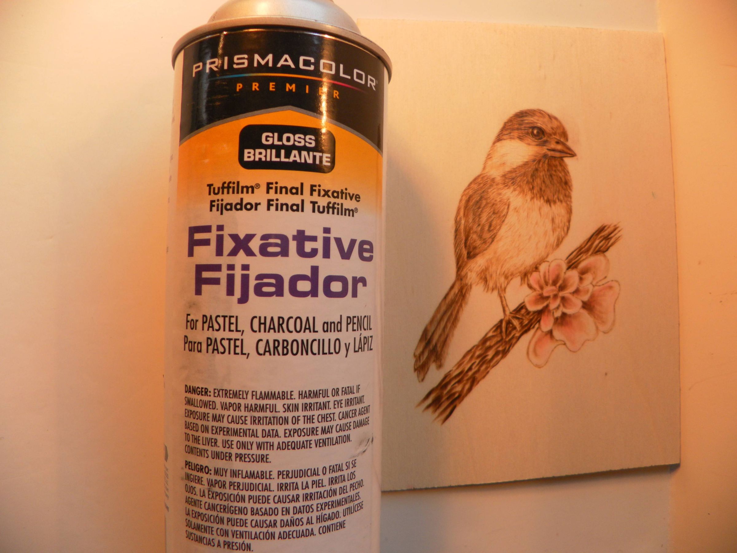 Pyrography: Step by Step Burn a Chickadee : 10 Steps (with Pictures ...