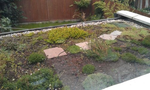 Build a Living Roof / Green Roof : 8 Steps (with Pictures) - Instructables