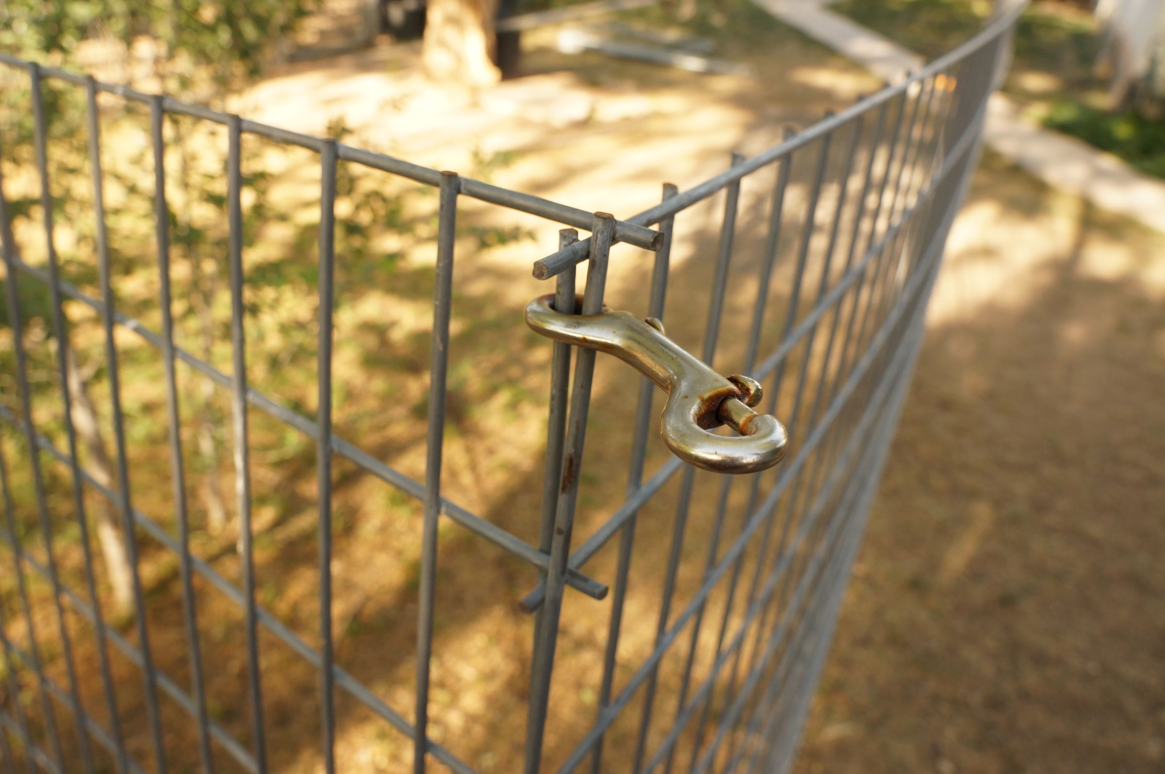 Cheap Easy Dog Run to Build : 6 Steps - Instructables