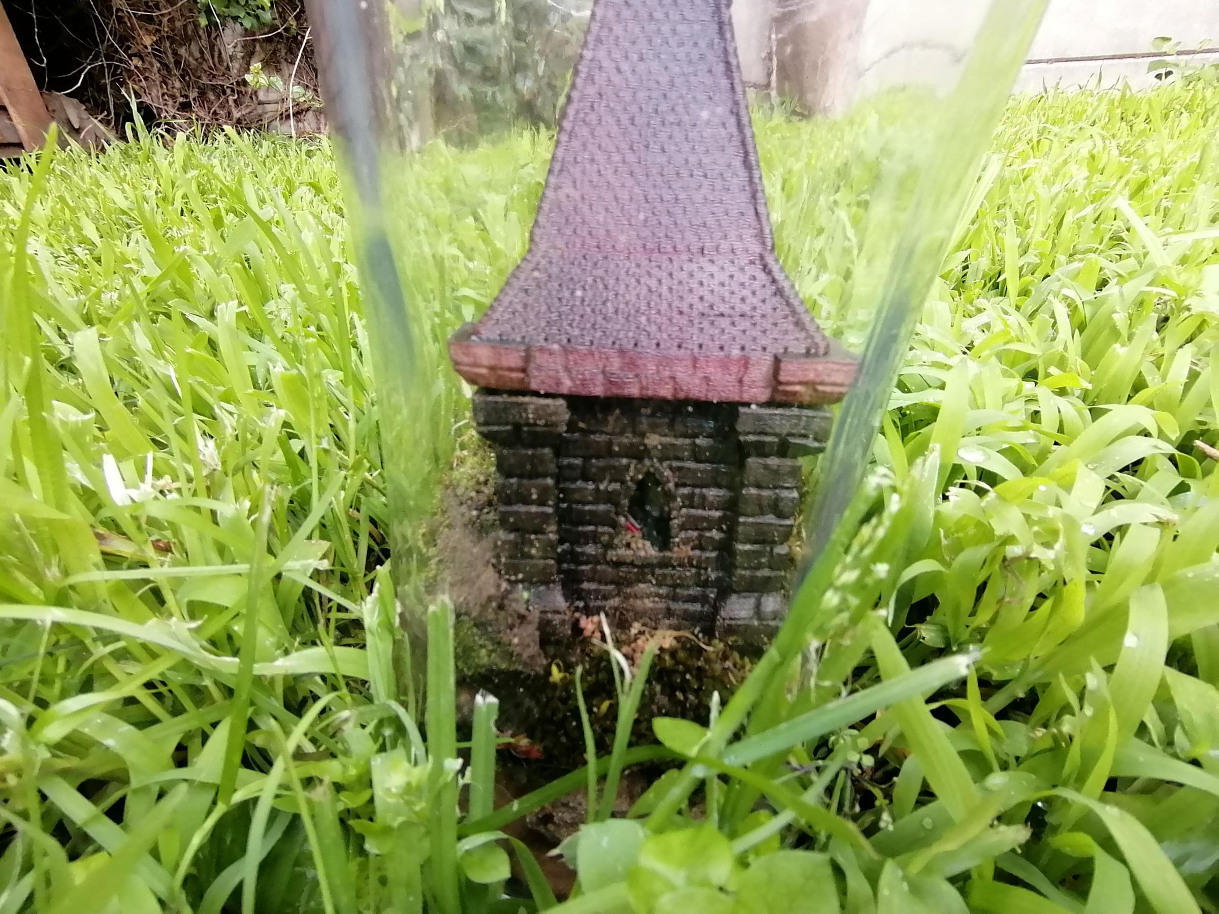 Terrarium With Wirelessly Powered Lights : 8 Steps (with Pictures ...