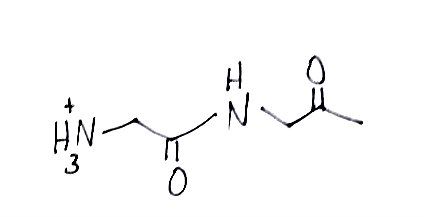 How to Draw Peptide Chains : 18 Steps (with Pictures) - Instructables