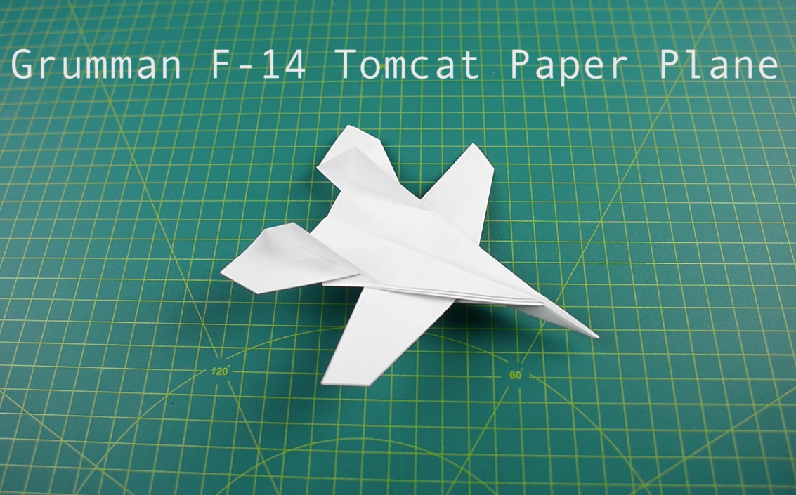 Tomcat Jet Fighter Planes