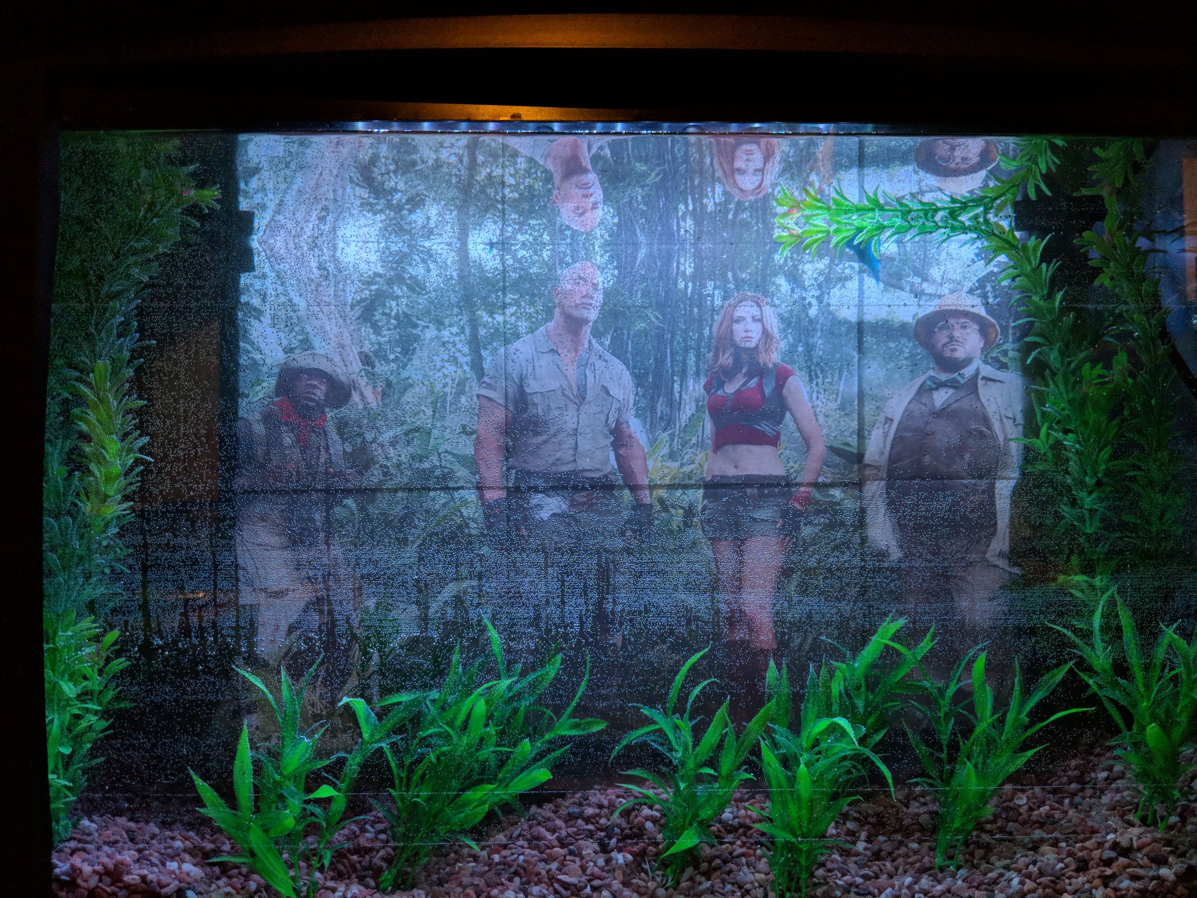 Build a TV Fish Tank : 6 Steps (with Pictures) - Instructables