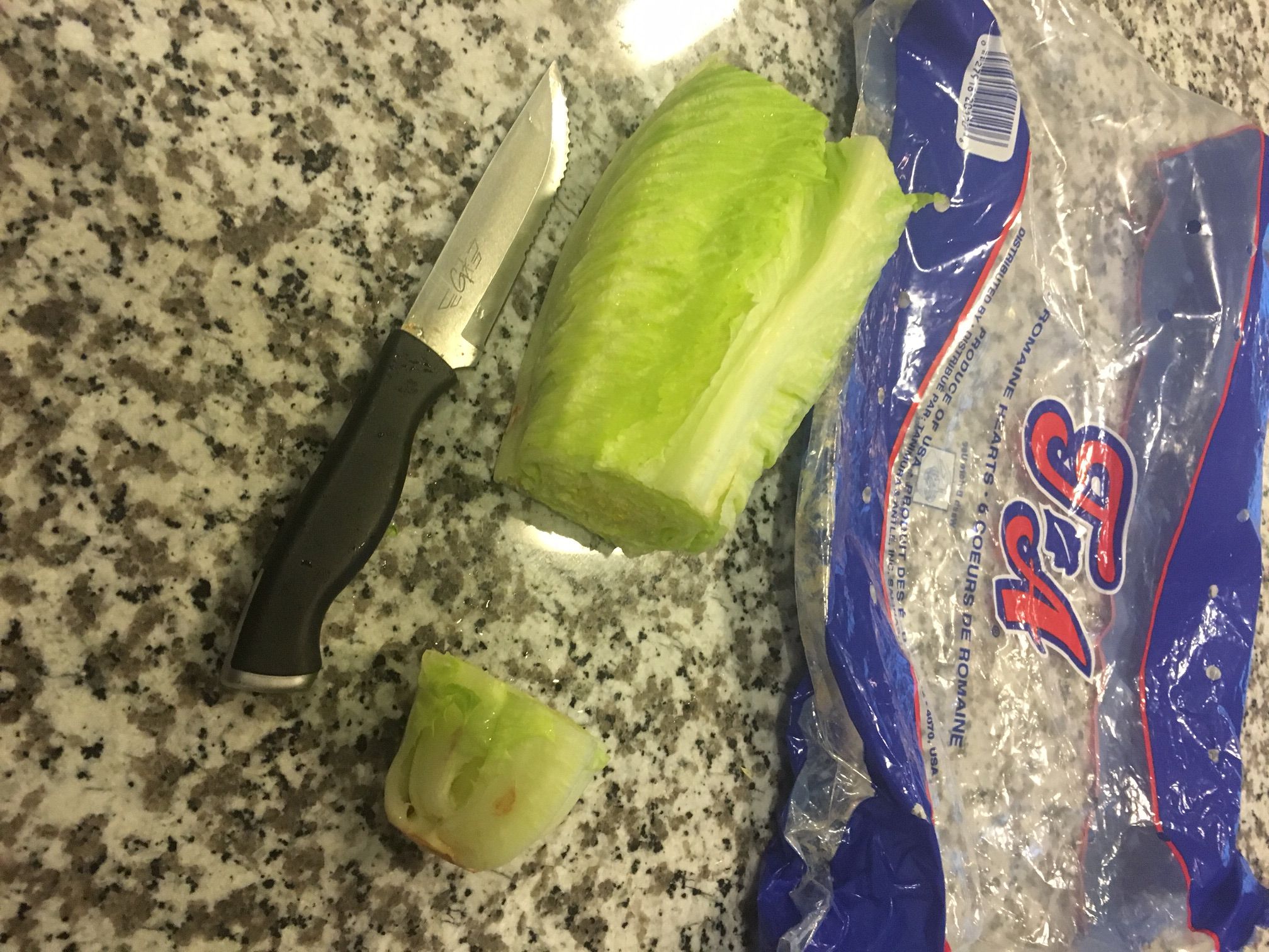 Lettuce for Life - Arduino 101 Based Automated Controller for ...