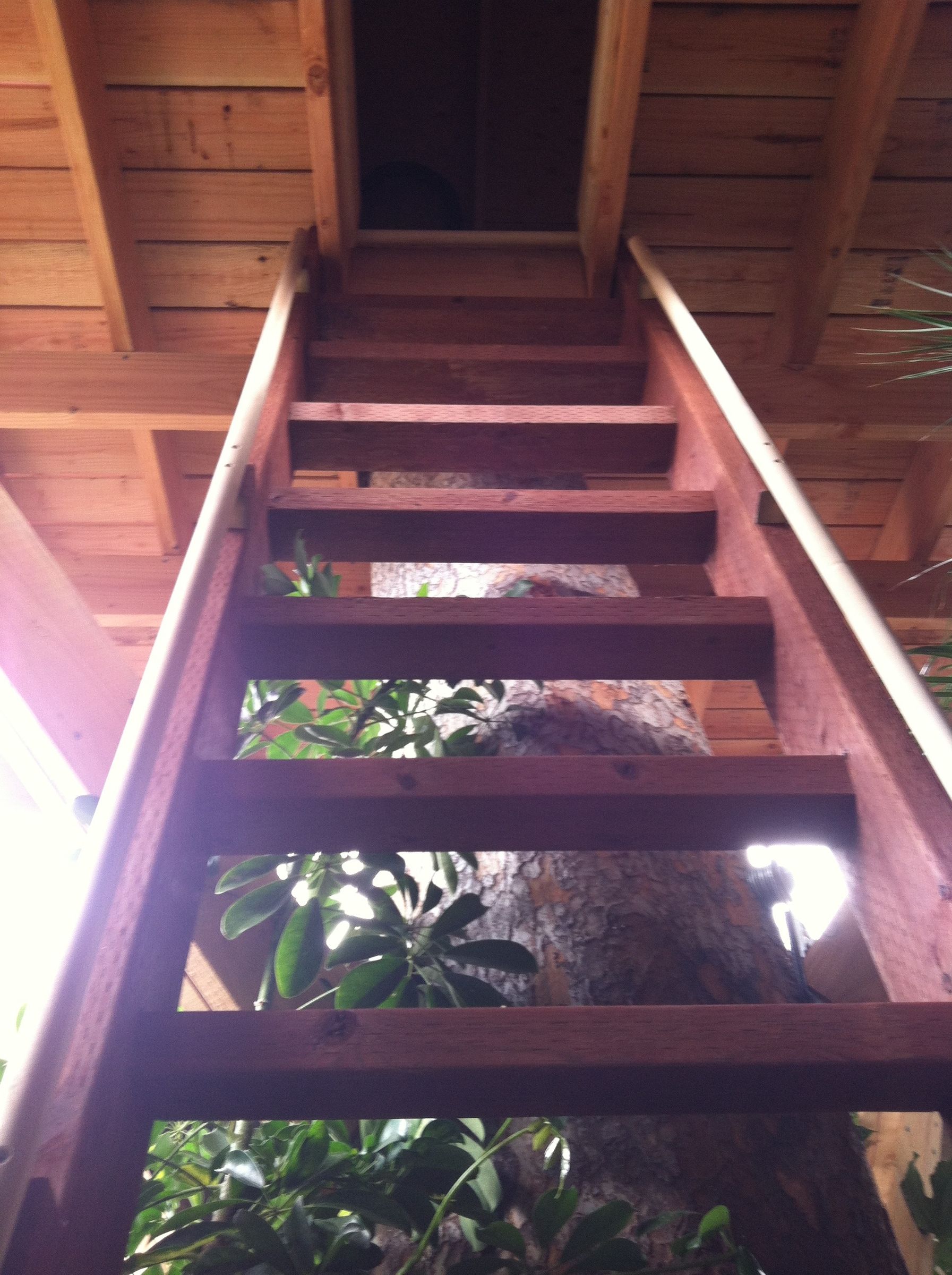 Building a Treehouse : 8 Steps (with Pictures) - Instructables