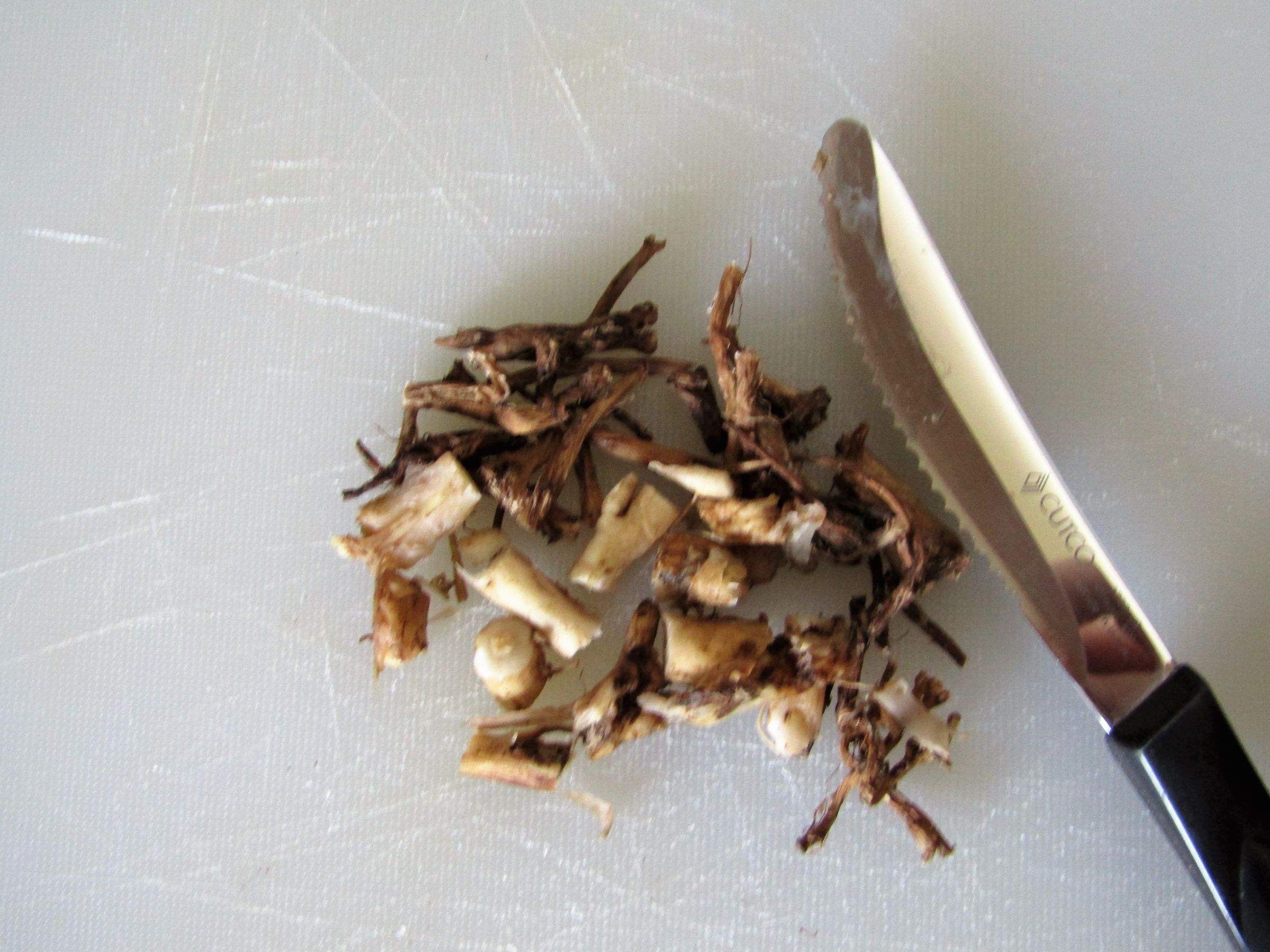 How to Eat a Dandelion : 10 Steps (with Pictures) - Instructables