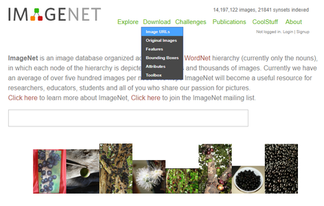 Haar Cascade - Python + OpenCV, Treinando E Detectando Objetos : 9 Steps - Instructables