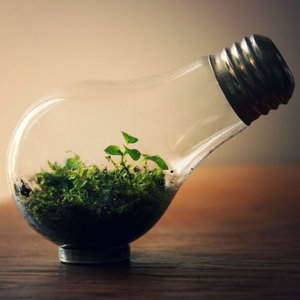 How to Make Homemade Light Bulb Jar : 4 Steps - Instructables