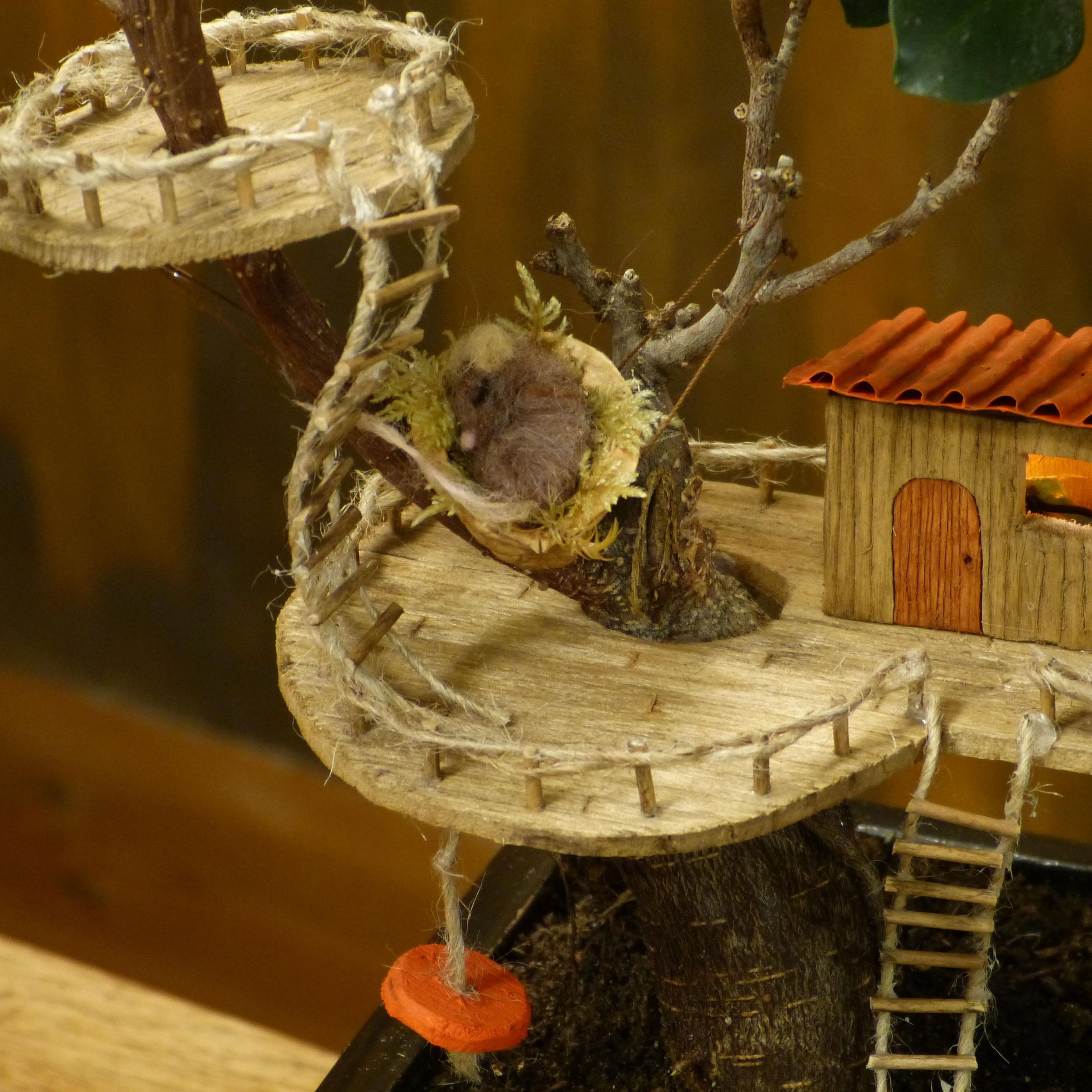Houseplant Treehouse & Tiny Mouse : 15 Steps (with Pictures ...