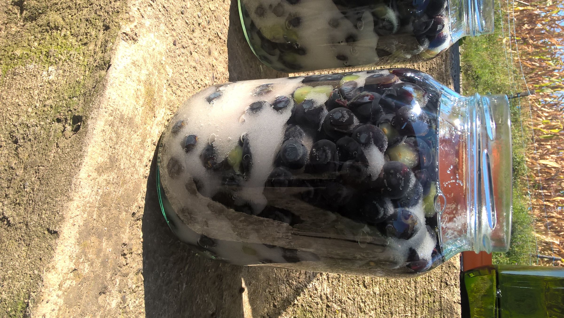 Grape Liqueur - How to Make Grape Liqueur : 6 Steps (with Pictures ...