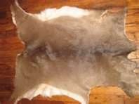 Everything You Need to Know About Tanning Animal Pelts. : 9 Steps ...