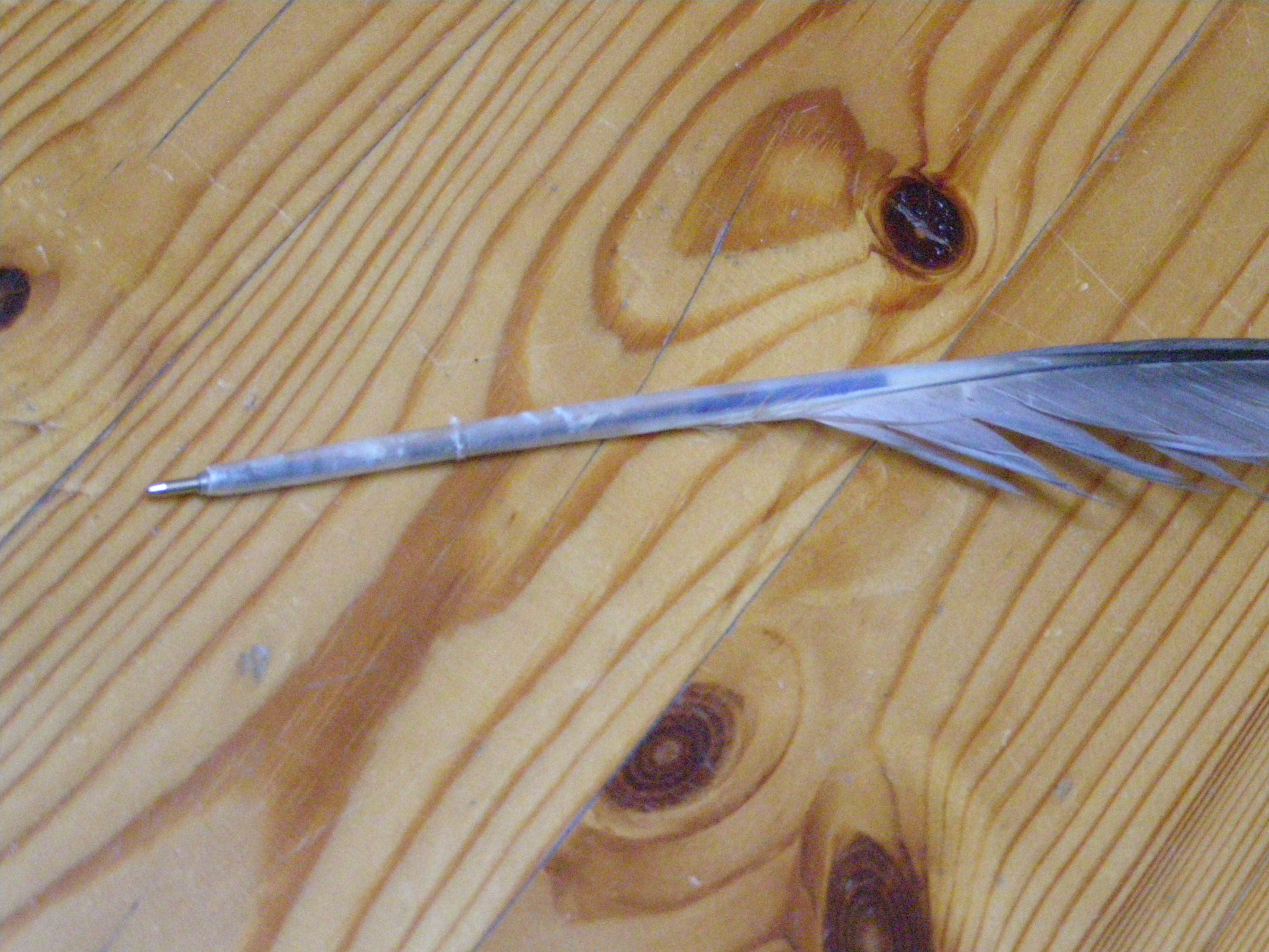 How to Make a Feather Quill (2 Ways) - Instructables