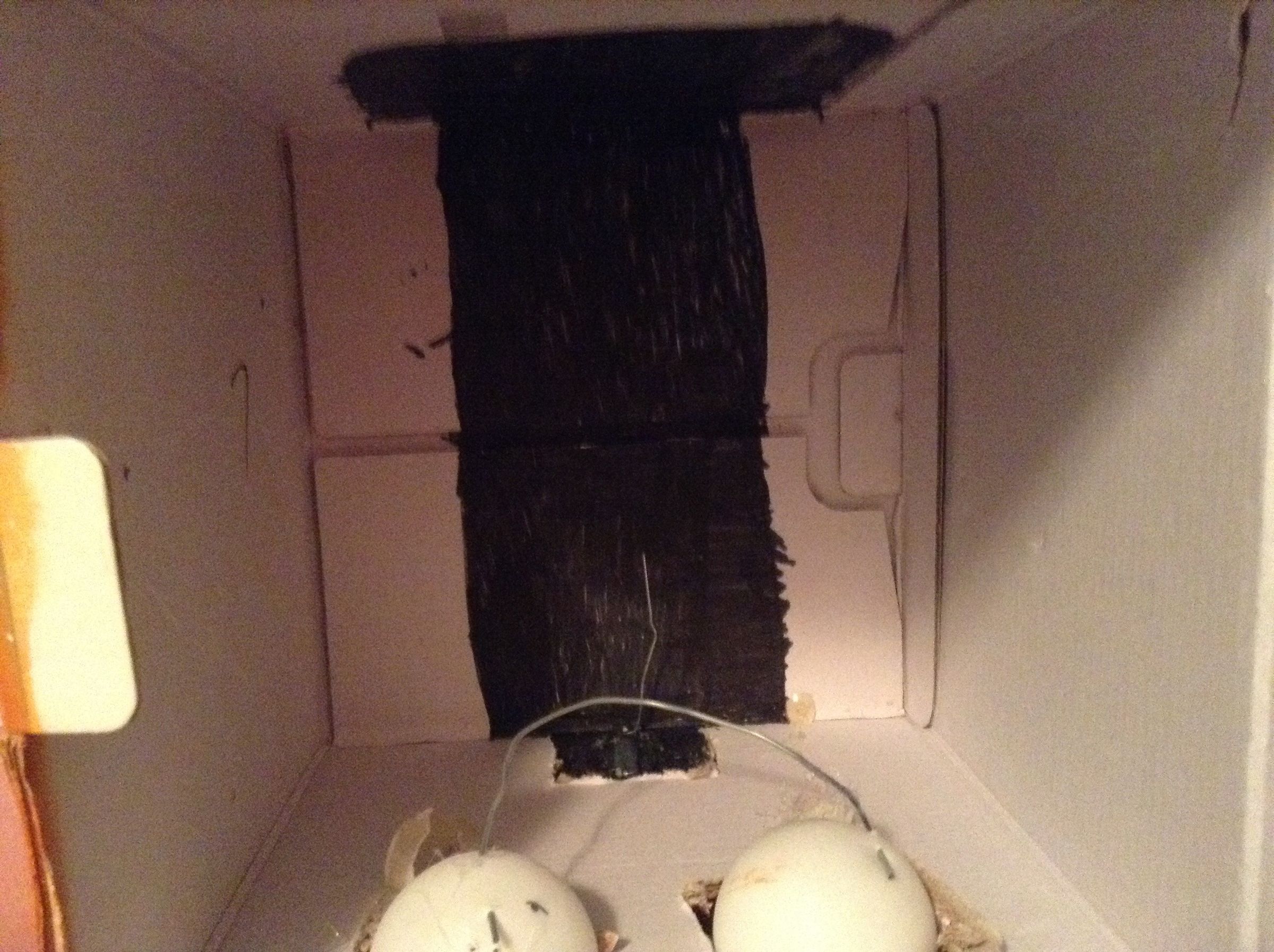 Cardboard Ventriloquist Dummy Head : 7 Steps - Instructables