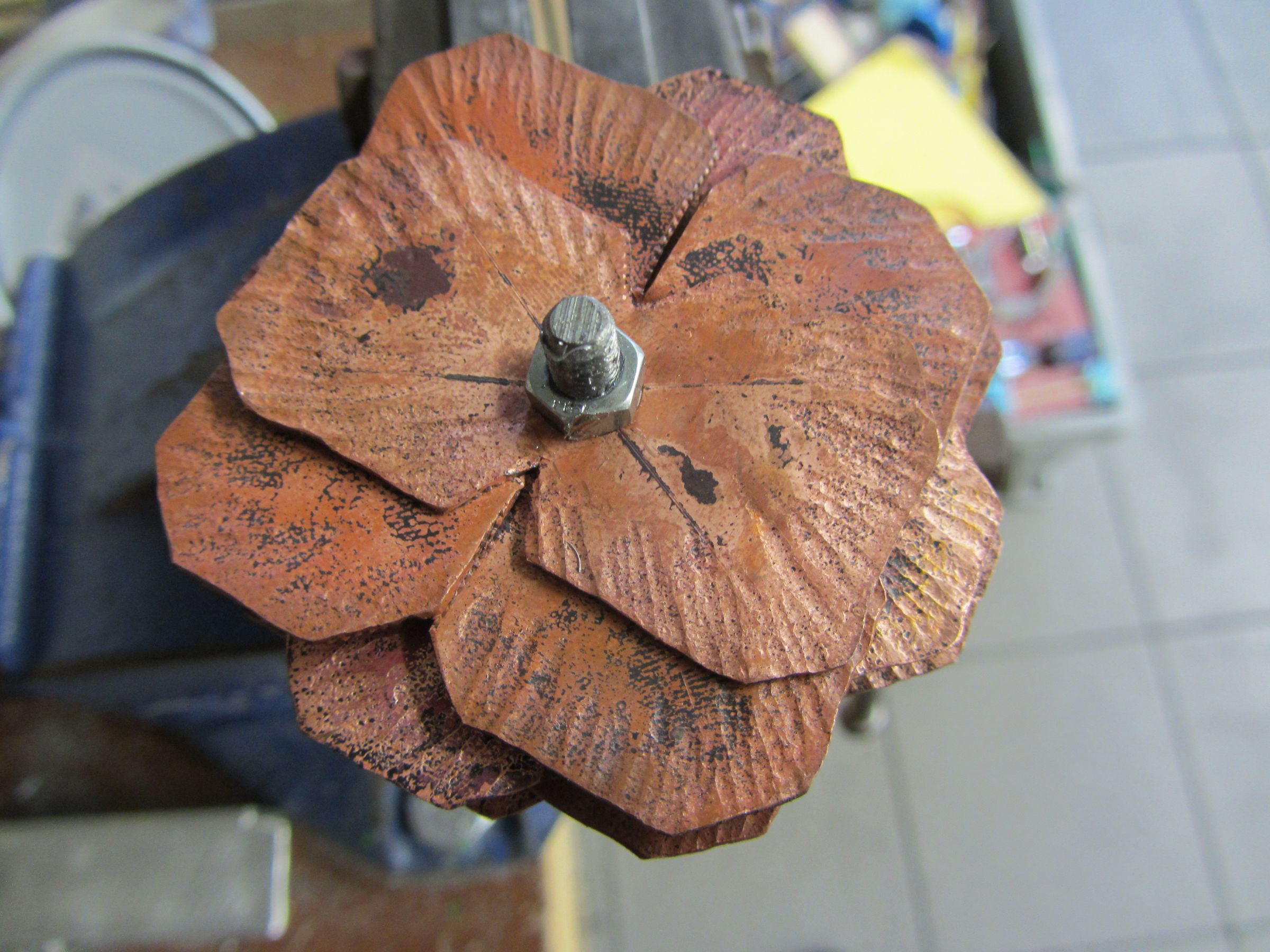 Copper Rose - an Everlasting Flower! : 11 Steps (with Pictures ...