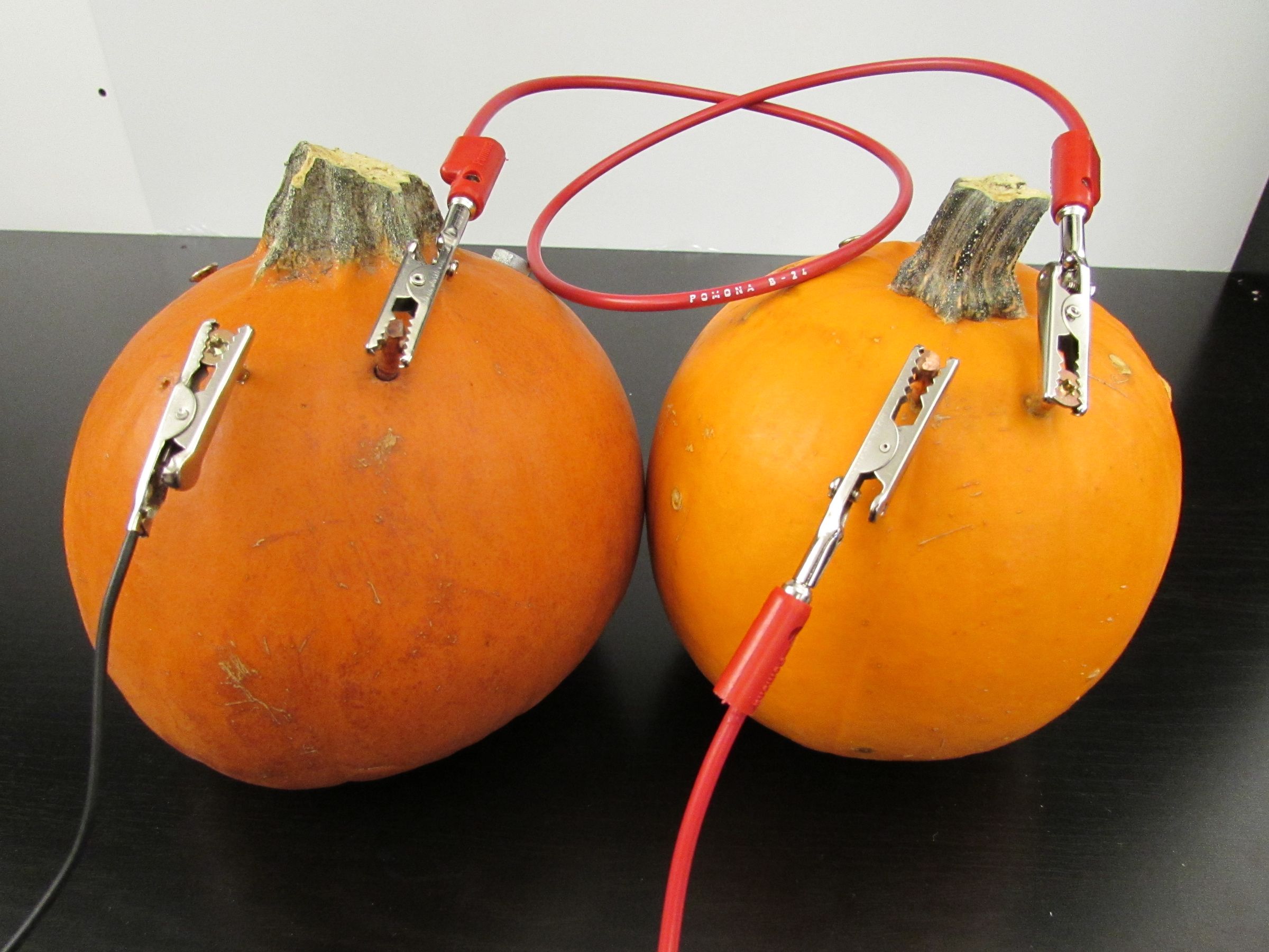 Pumpkin Power! - Battery Made From Pumpkins : 6 Steps (with Pictures ...