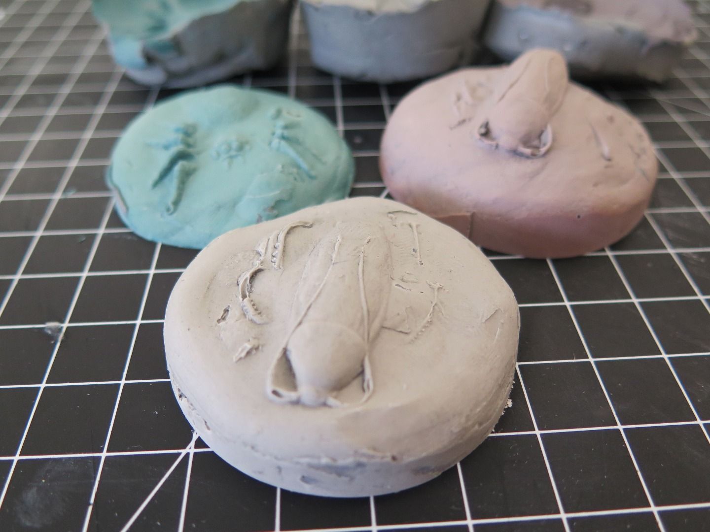 Homemade Fossils! : 5 Steps (with Pictures) - Instructables