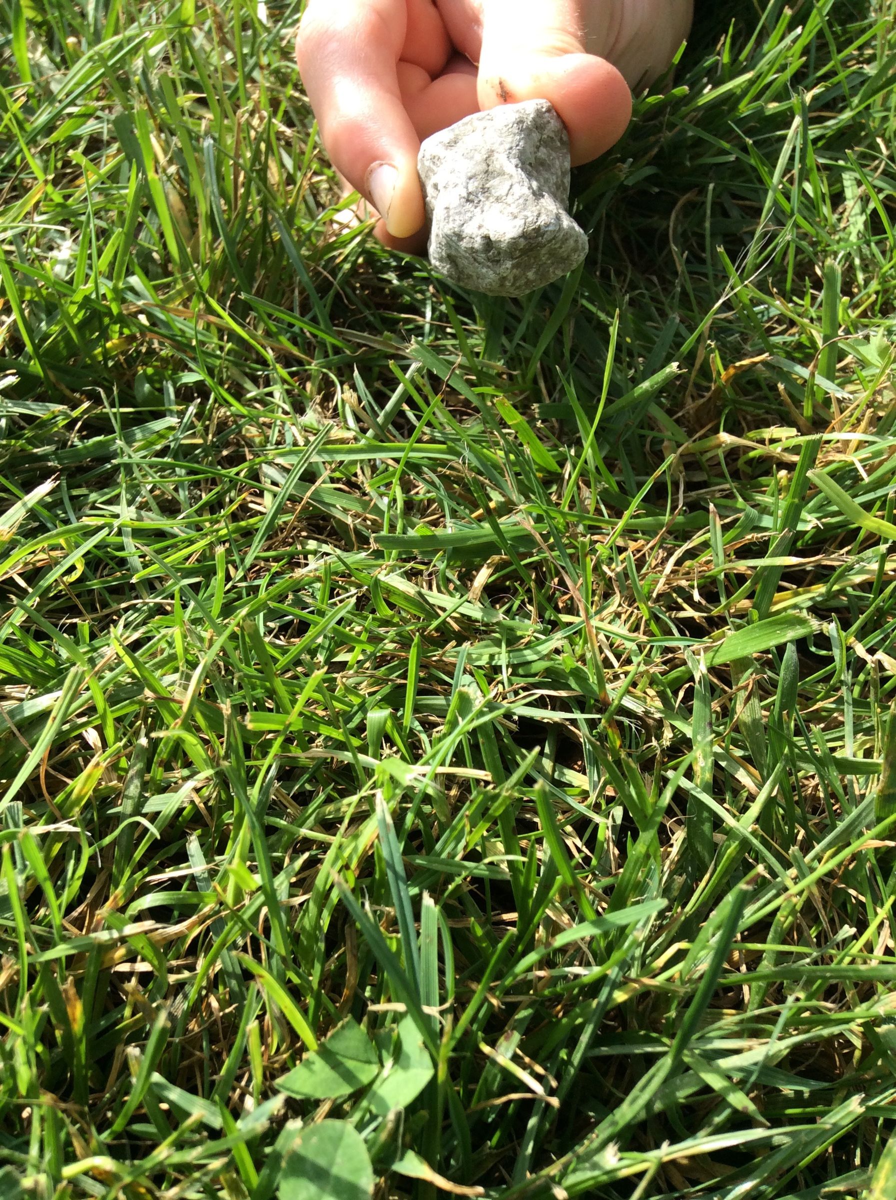 Find North With a Stick and the Sun : 6 Steps - Instructables